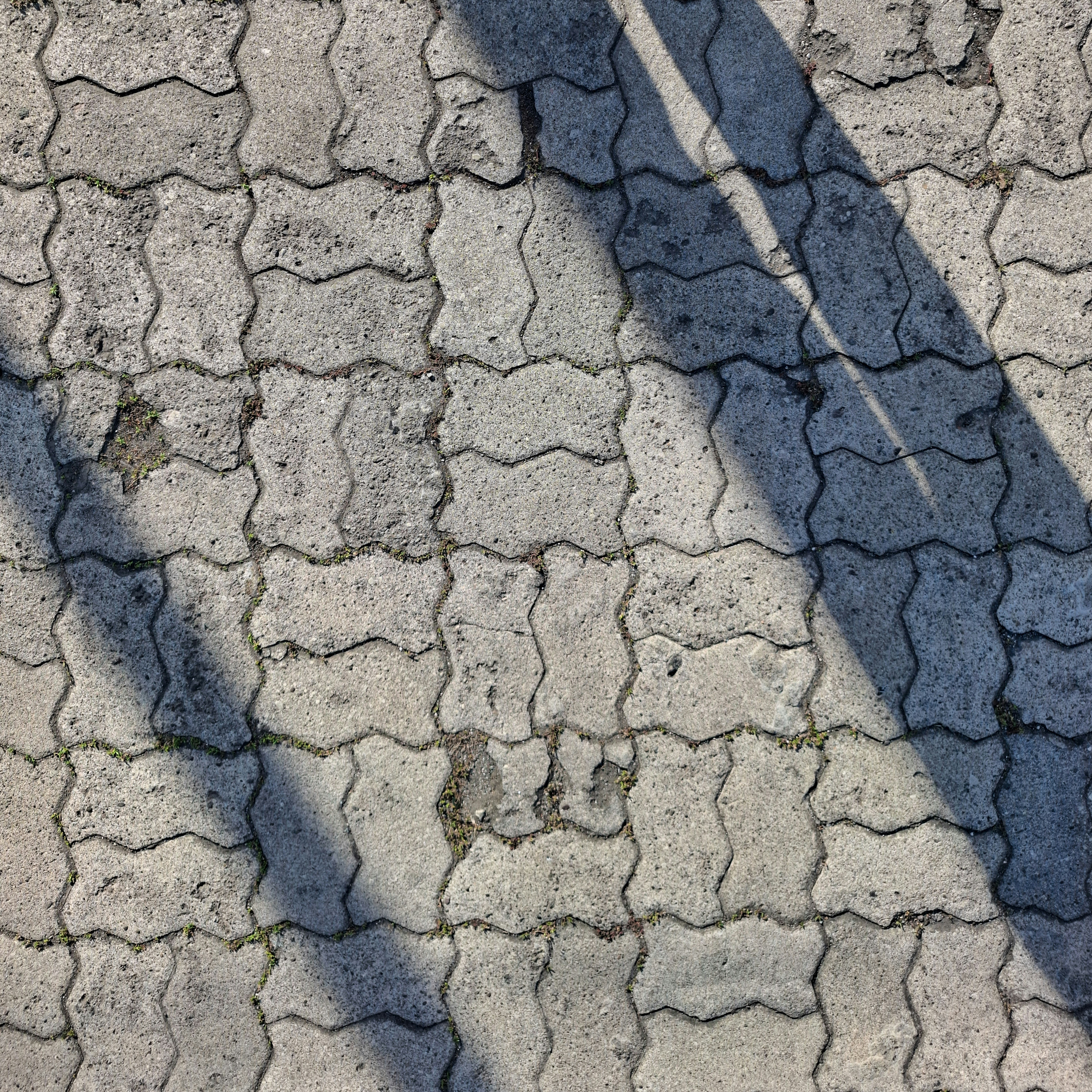 Shadowed Steps: A Long Shadow Across the Paver Mosaic
