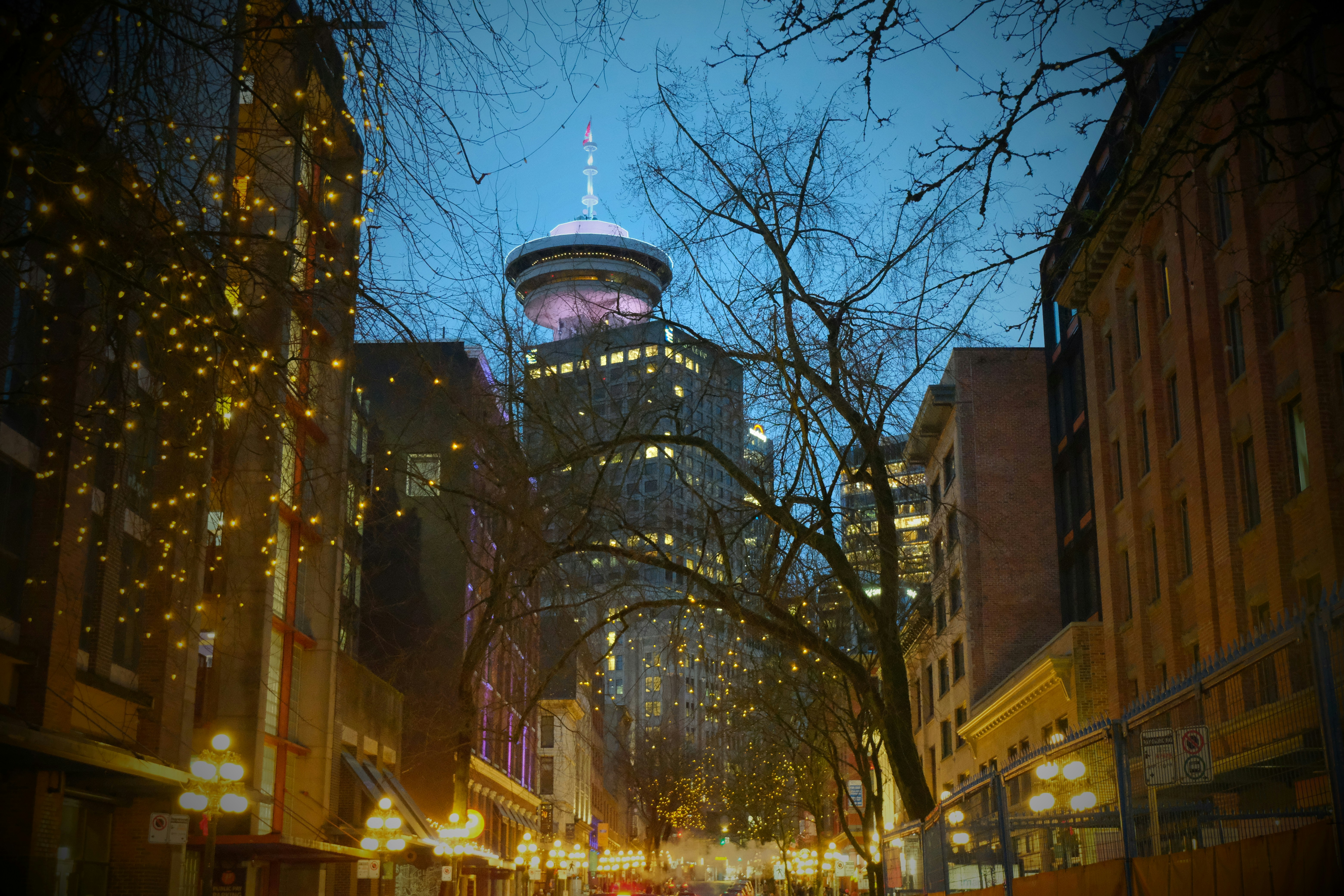City Lights Over a Tree-Lined Street Under a Dusk Sky