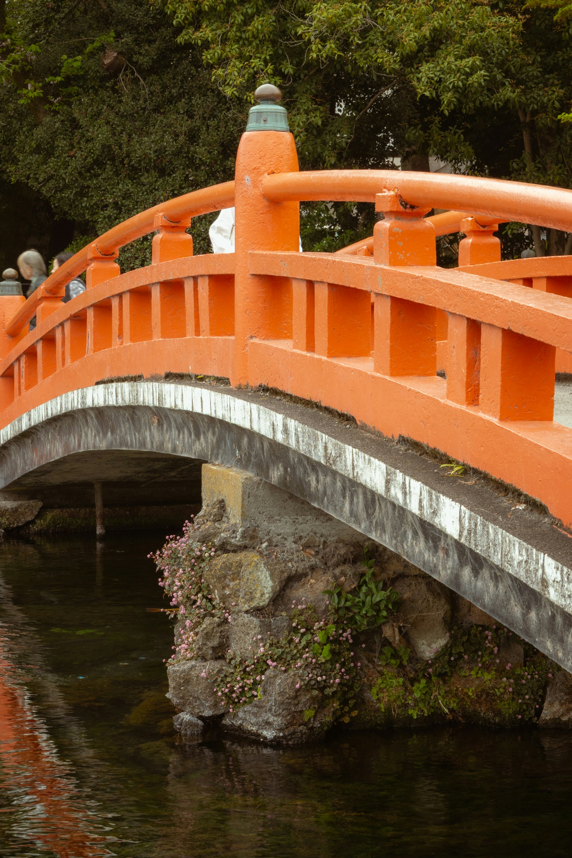 Orange Bridge Over Calm Water: A Quiet Moment Under Green Canopy