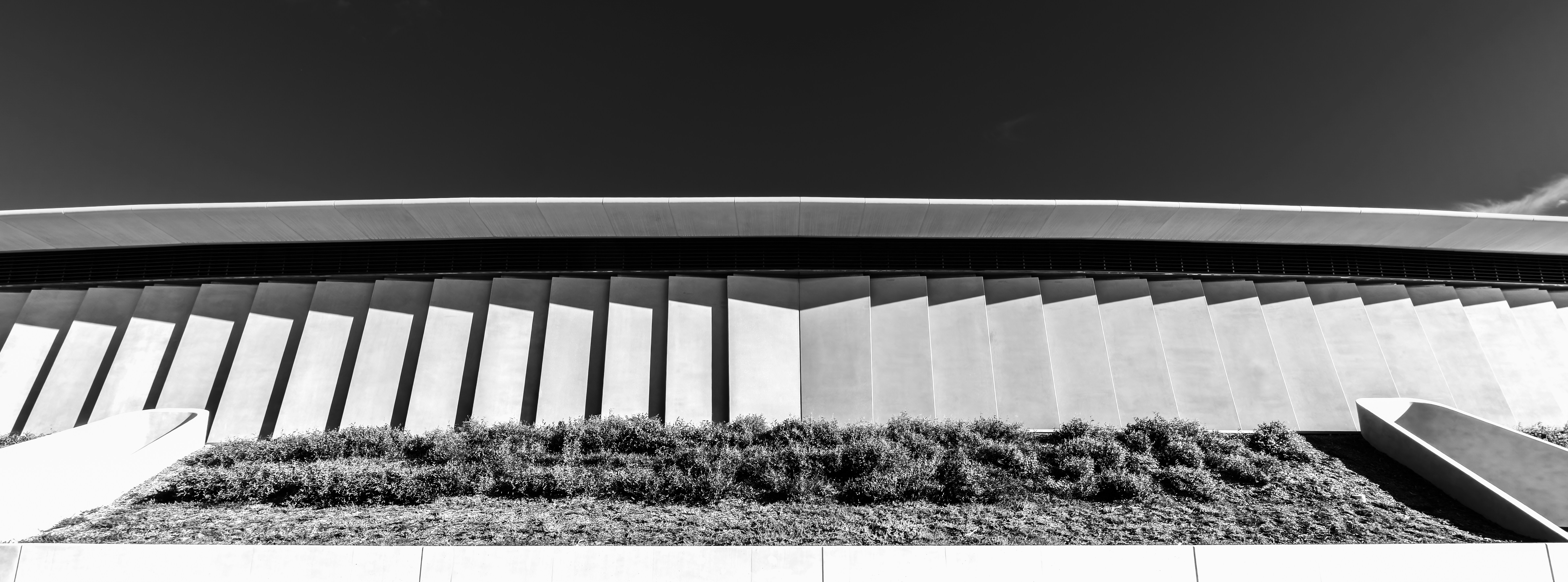 Staircase of Light: A Curved Roof and Grass Terrace