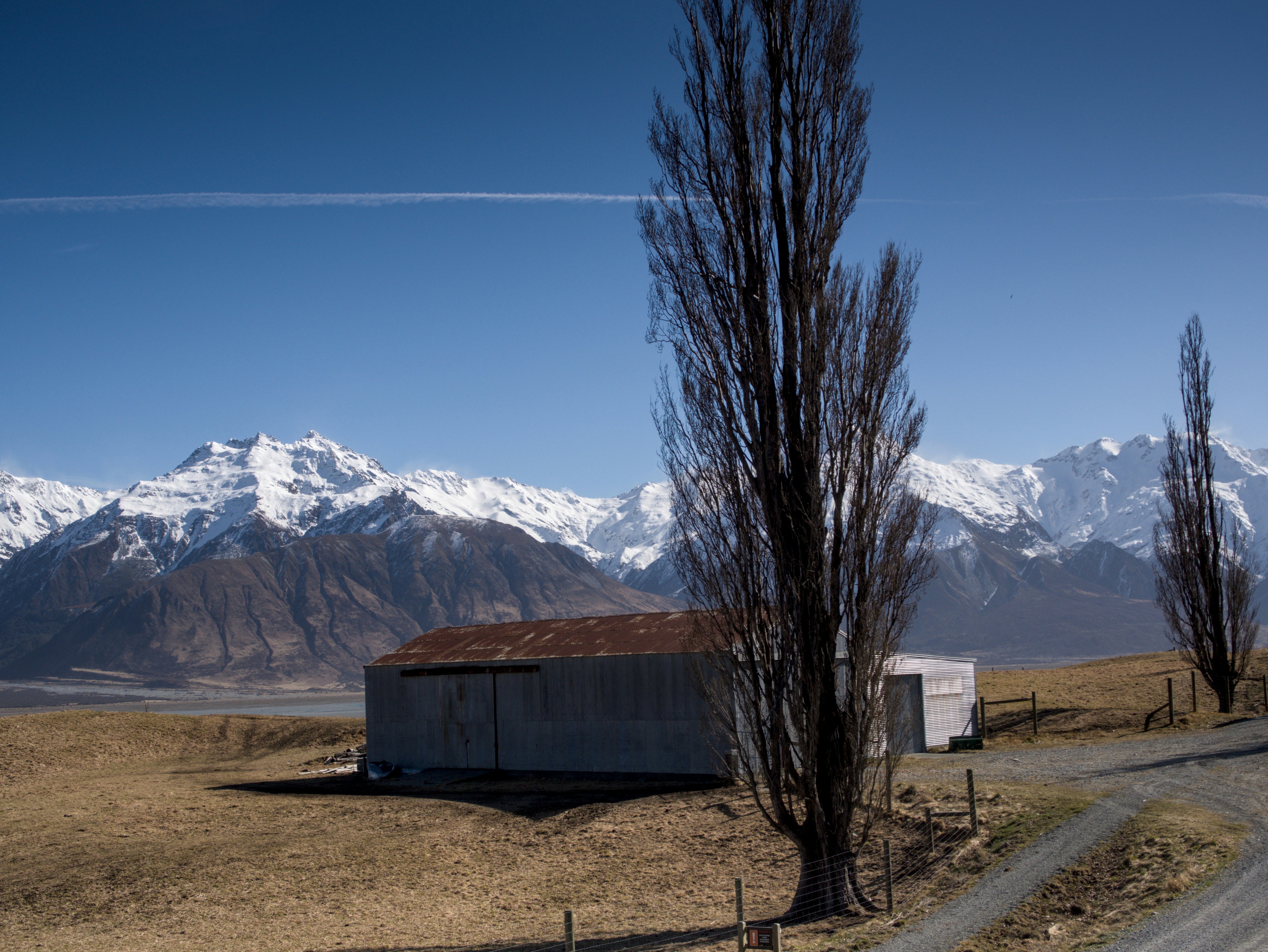 Desolate field with a weathered shed and a dirt path set against snow-capped mountains under a clear blue sky. A tall tree foreground adds vertical contrast and a sense of scale.