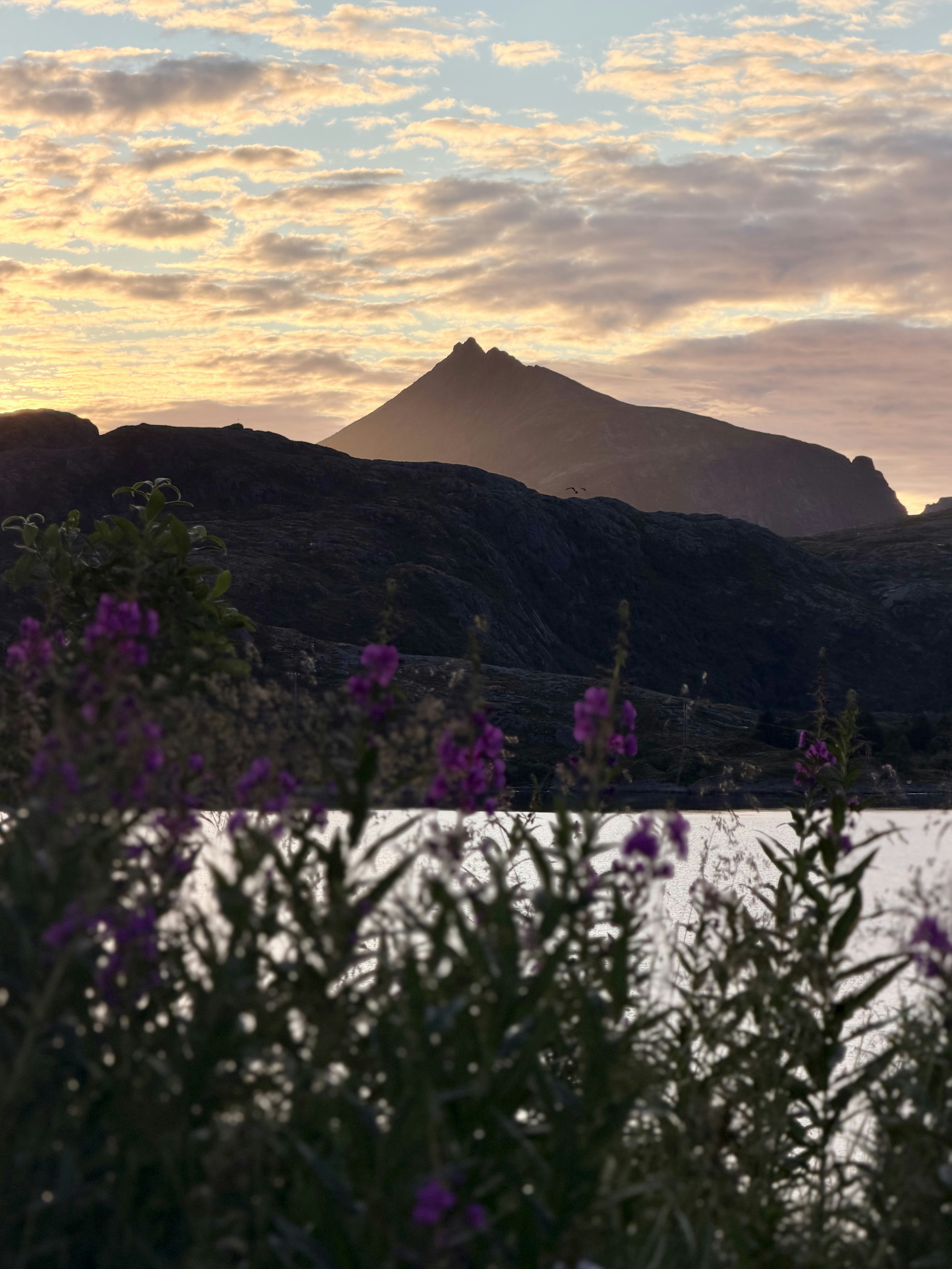Sunset Silhouette Over Rugged Peaks by a Lakeside Meadow