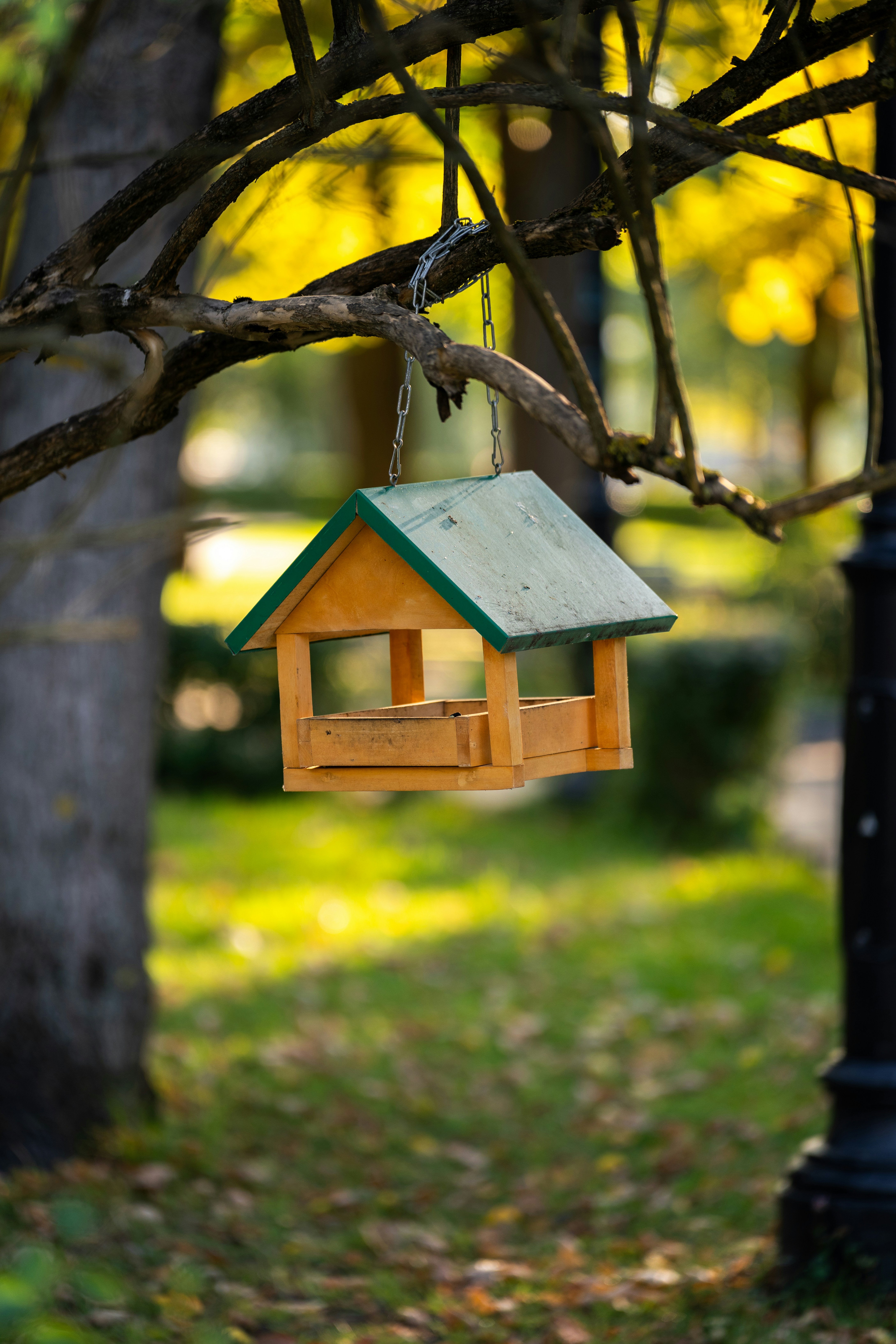 Small wooden birdhouse on a chain dangles from a tree in a sunlit park with blurred autumn background. A calm still life of a garden ornament.