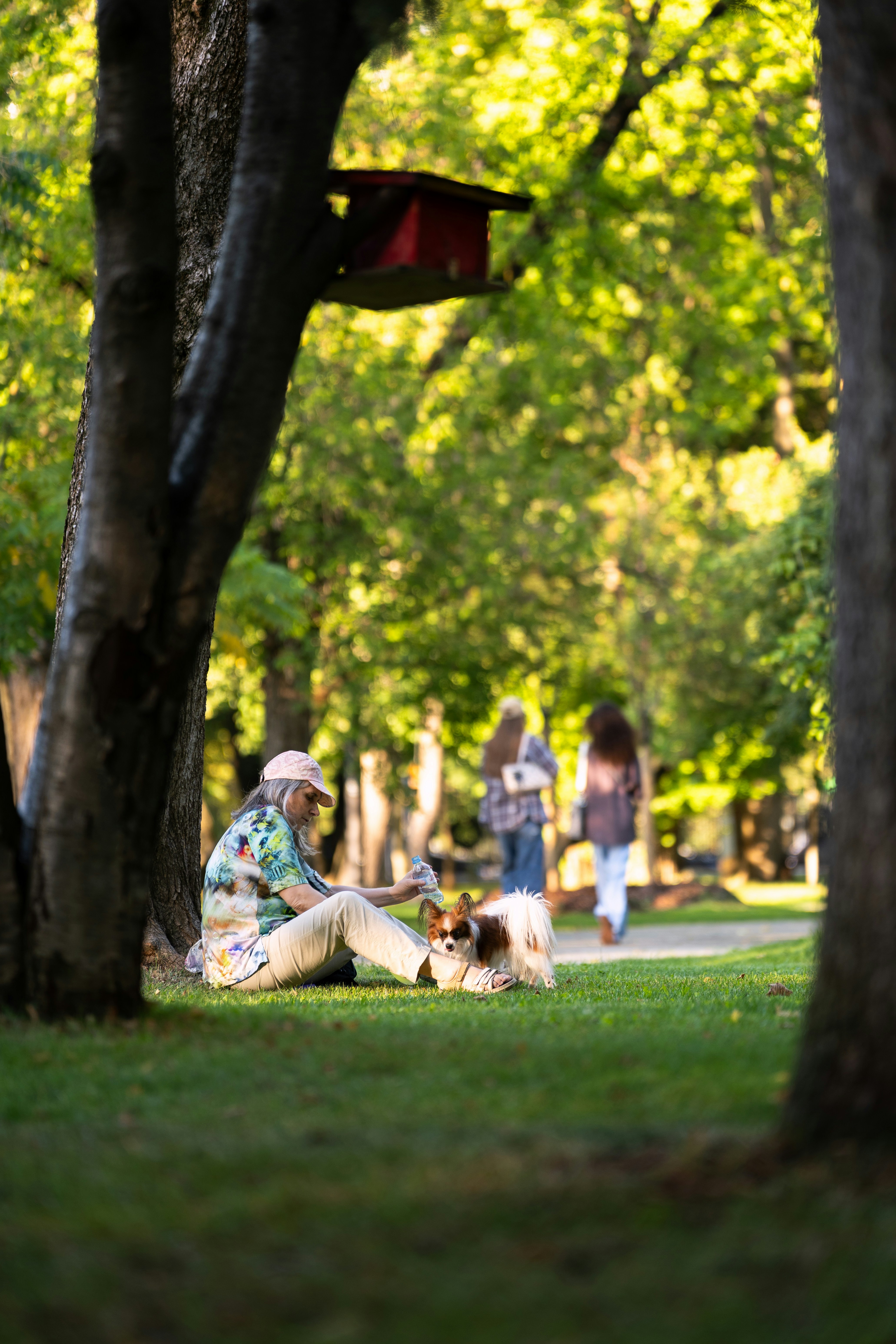 Quiet Moment in the Park: Woman and Dog Under the Canopy