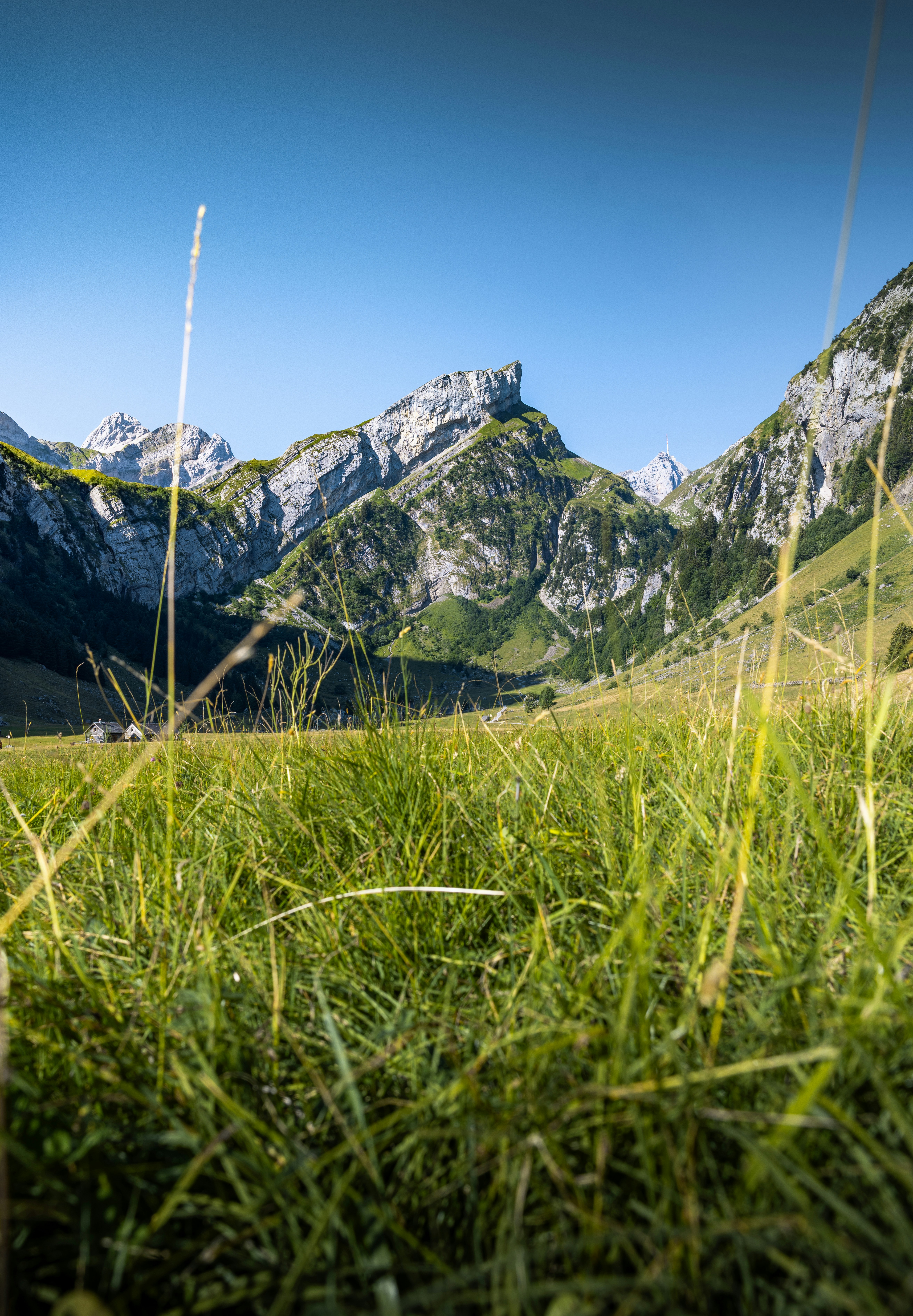 Sunlit alpine meadow with rugged peaks and green slopes under a bright blue sky, captured from a low foreground perspective. This is a landscape scene.