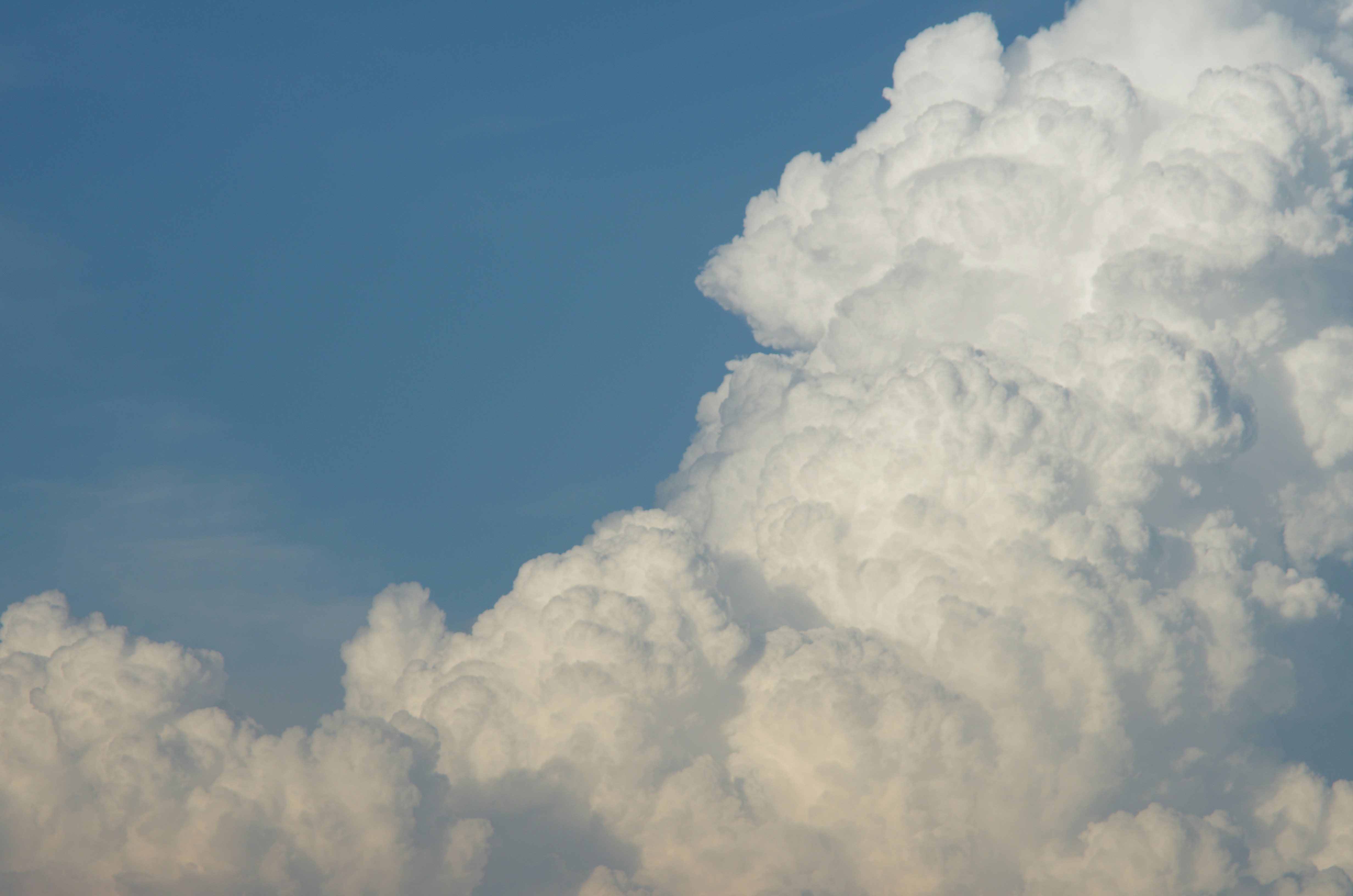 Edge of a Quiet Sky: A Puff of Cloud Against Clear Blue