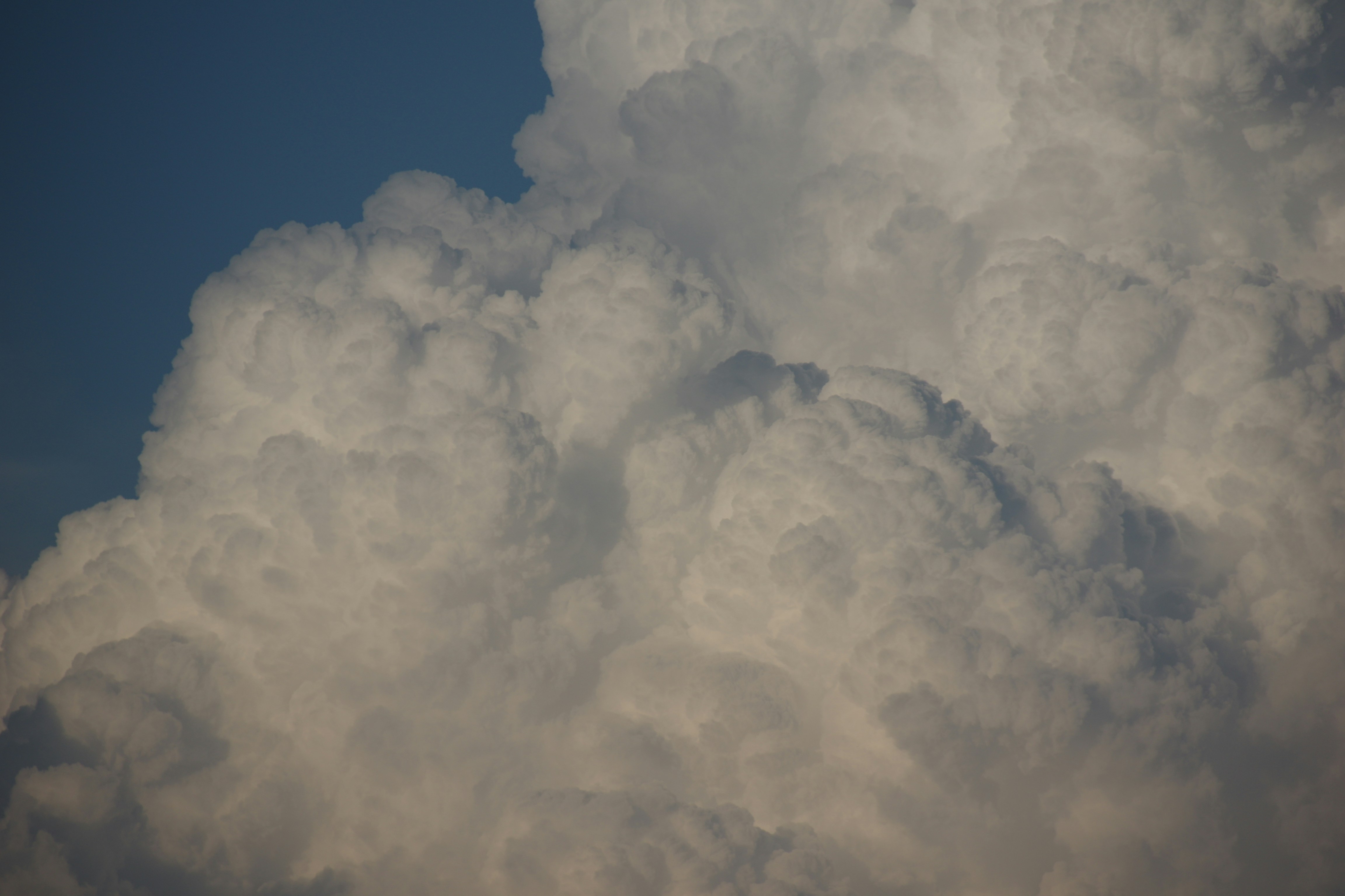 Cumulus cloud mass dominates the frame, portraying a dramatic sky study with soft edges and subtle tonal depth. A calm contrast between warm light and cool shadows defines the atmosphere.