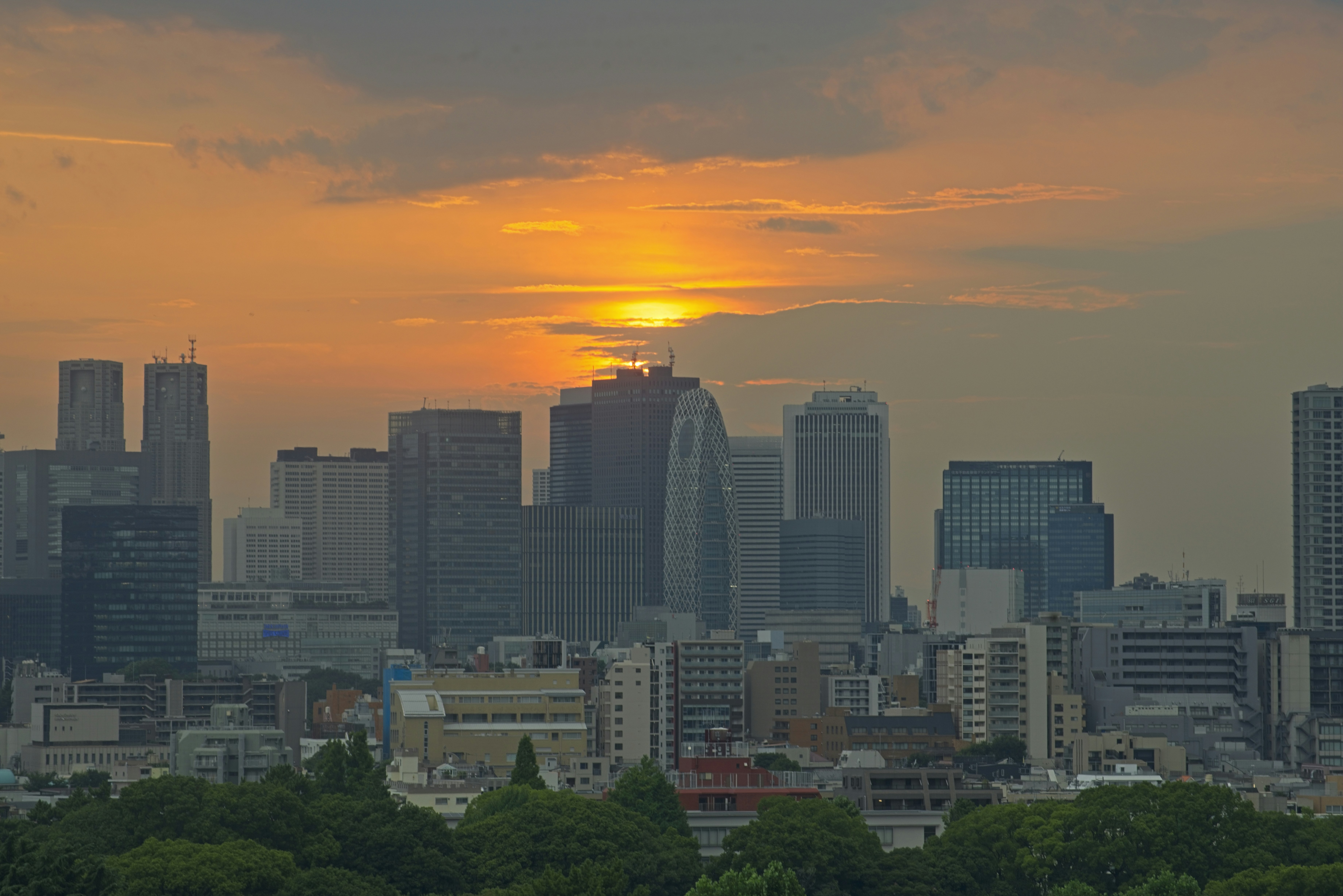 Sunset Over a Distant Skyline: A Quiet City Awakens