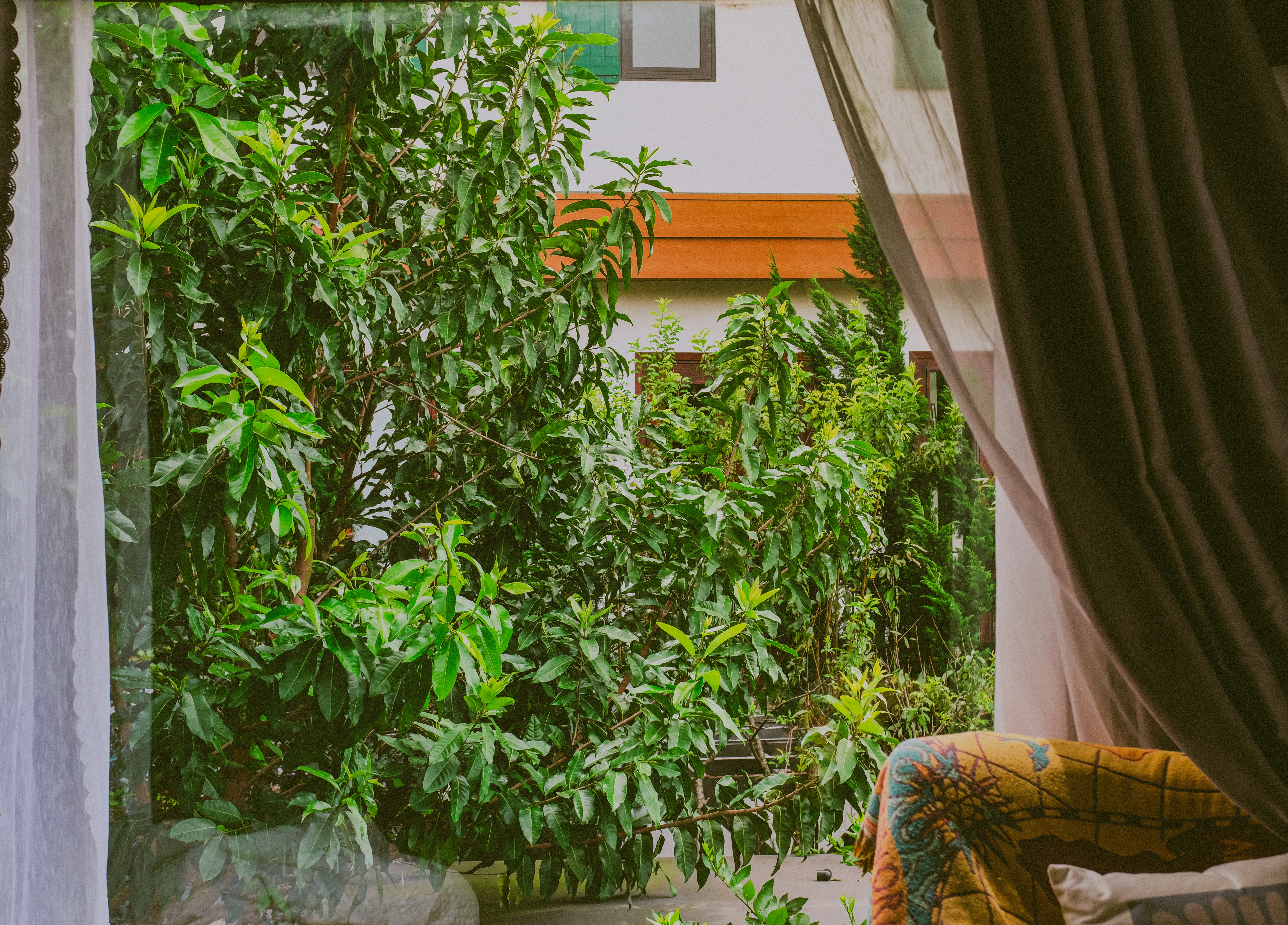 Cottage Interior Framing view through lush patio vines