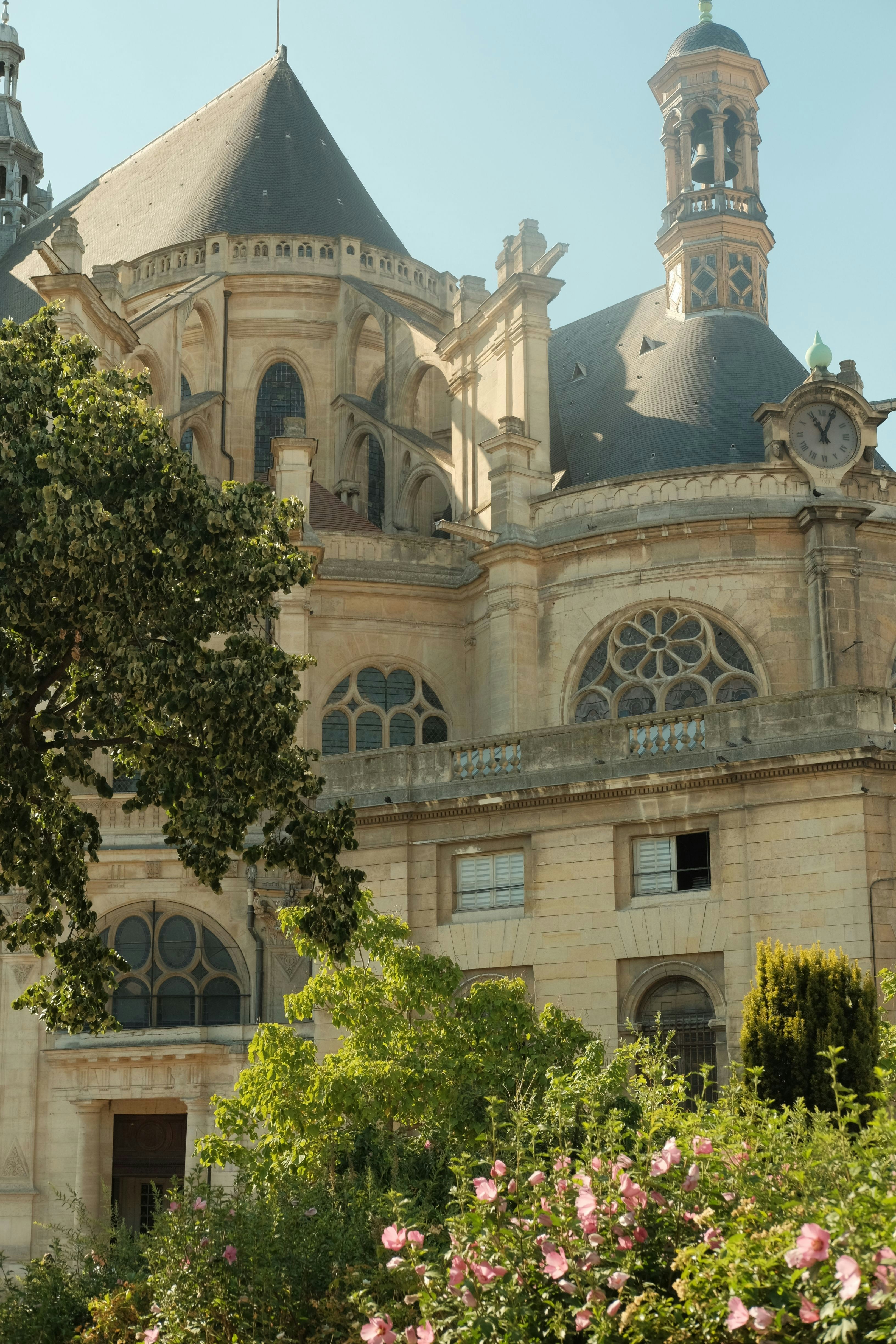 Sunlit historic cathedral facade with rose windows and a clock tower, framed by foreground garden blooms. Architecture-focused shot highlighting stone details and greenery.