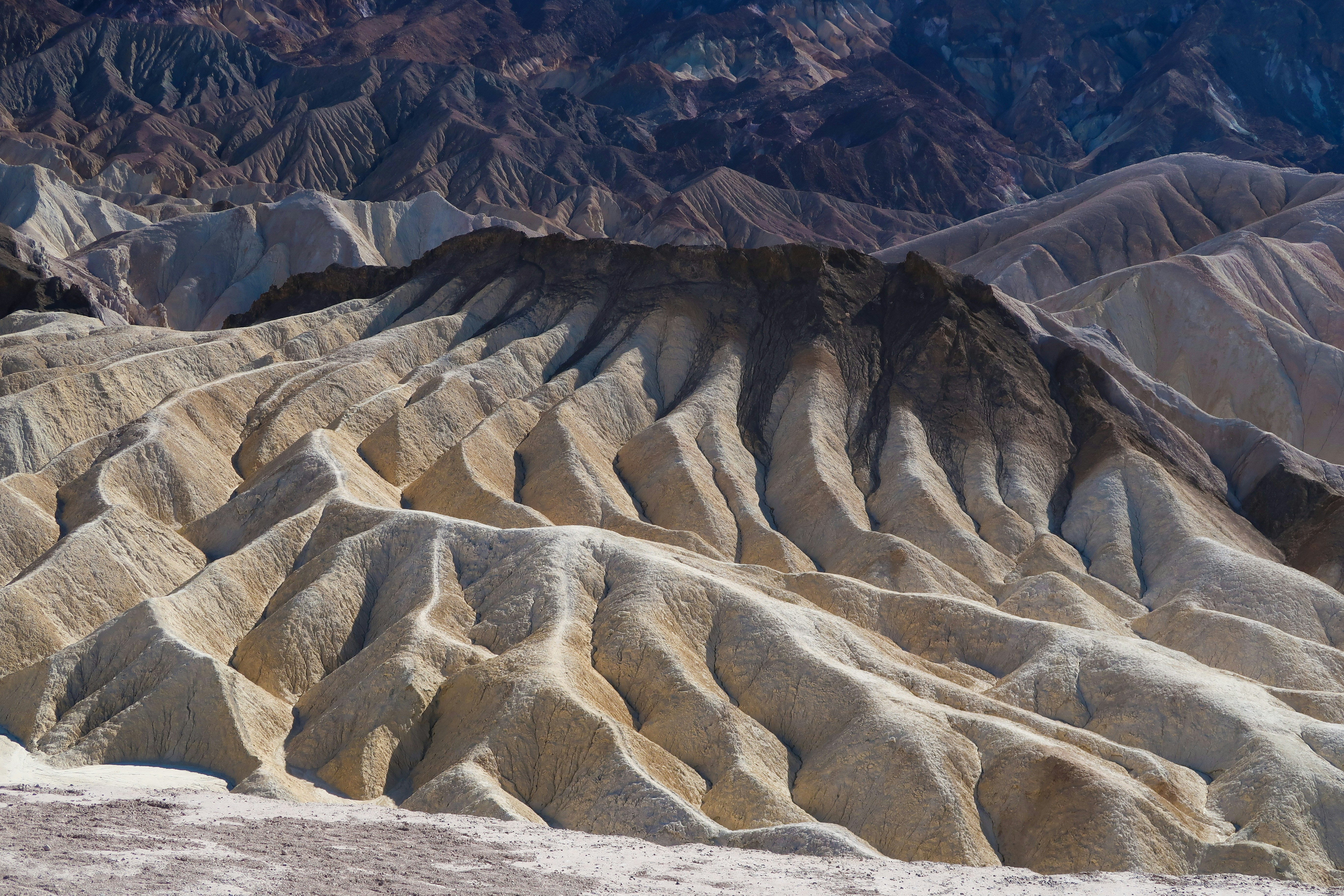 Eroded Ridges of Desert Chalk: Light and Shadow over Tidal Hills