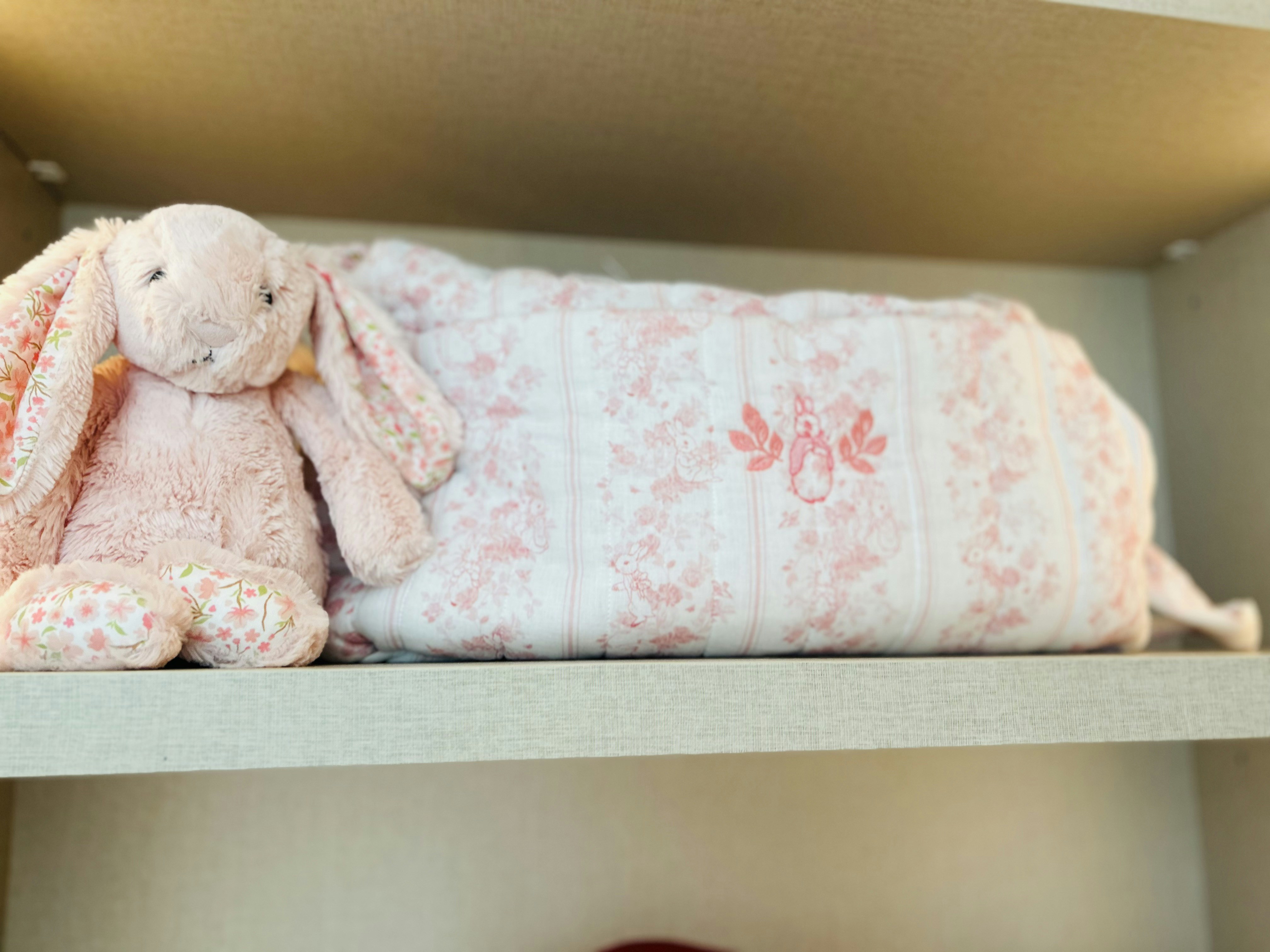 Pastel Plush on a Shelved Sojourn