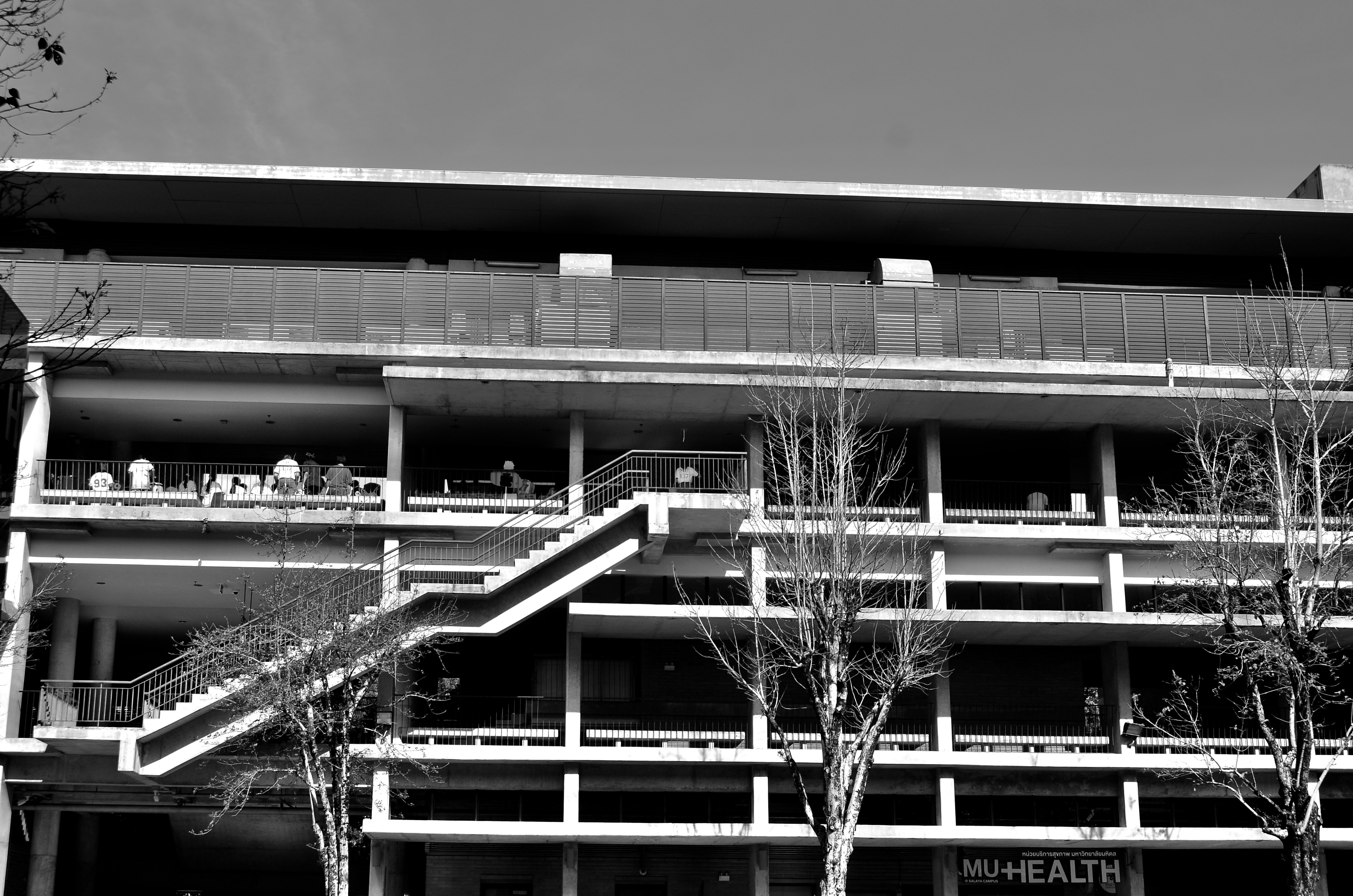 Concrete Labyrinth: A Multilevel Parking Structure Framed by Dormant Trees