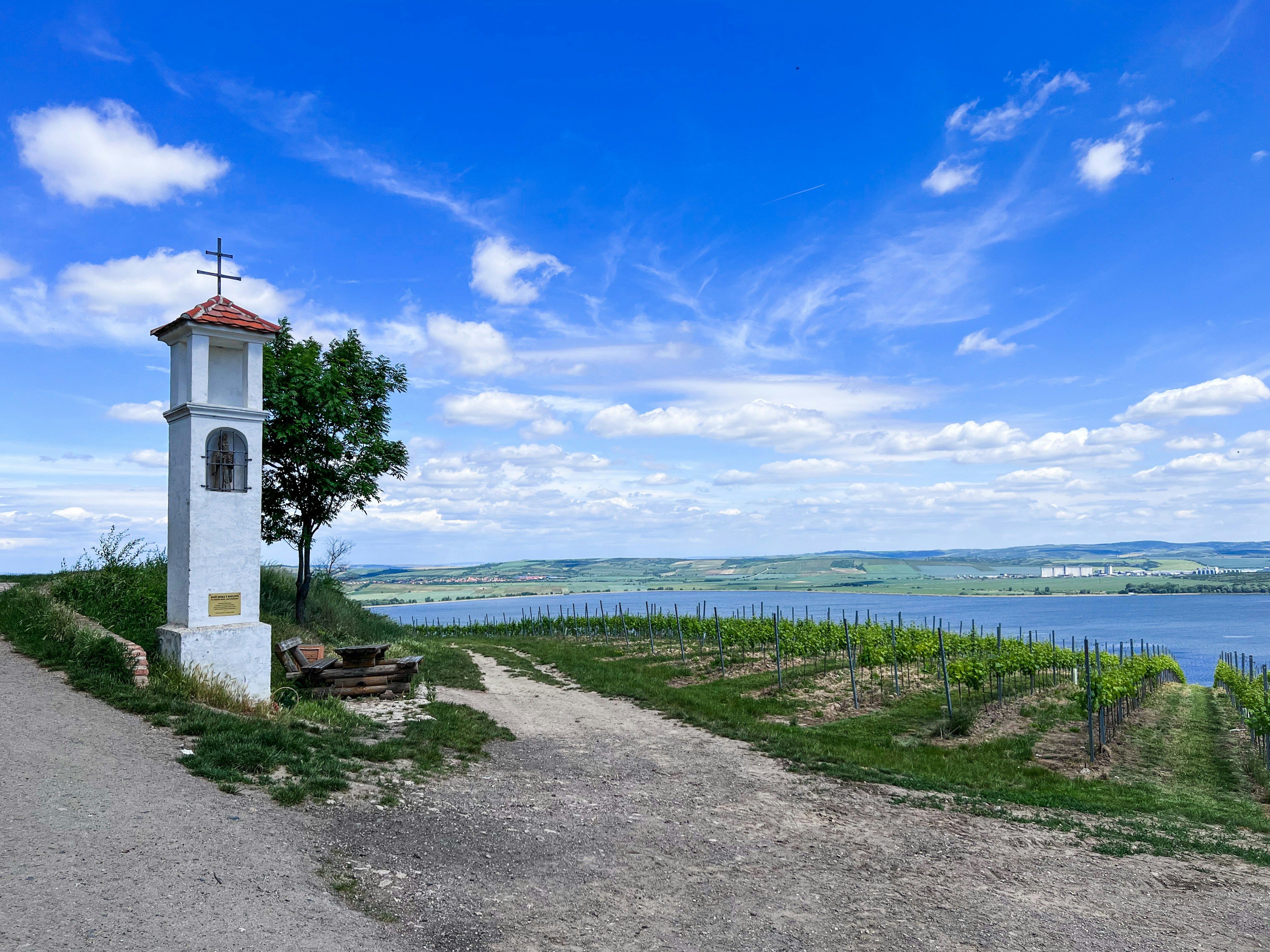 A small roadside shrine and a weathered bench sit near a gravel path, with a vineyard and a vast blue lake extending to the horizon under a bright sky.