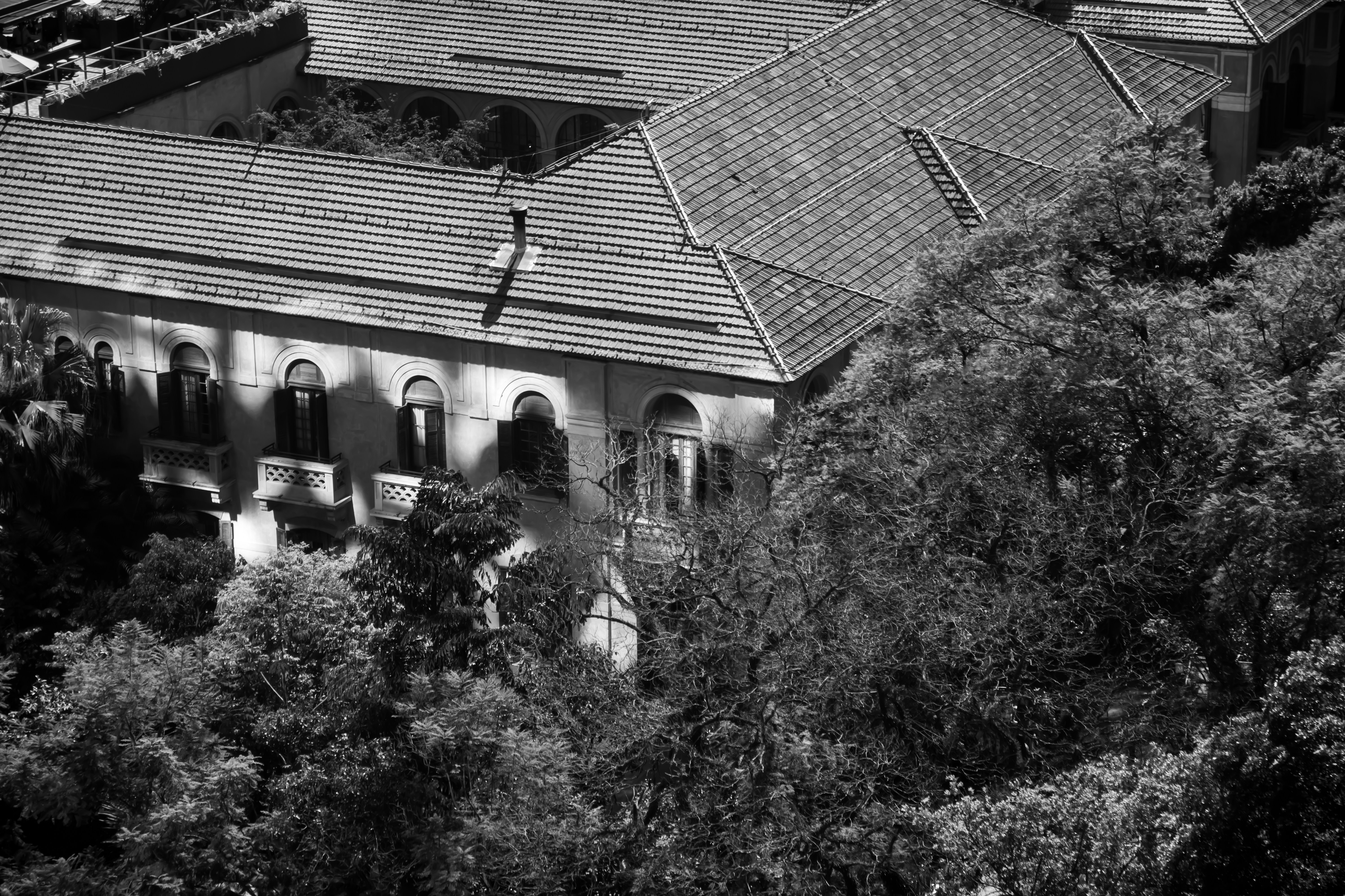 Historic Villa Terrace Peeking Through the Canopy
