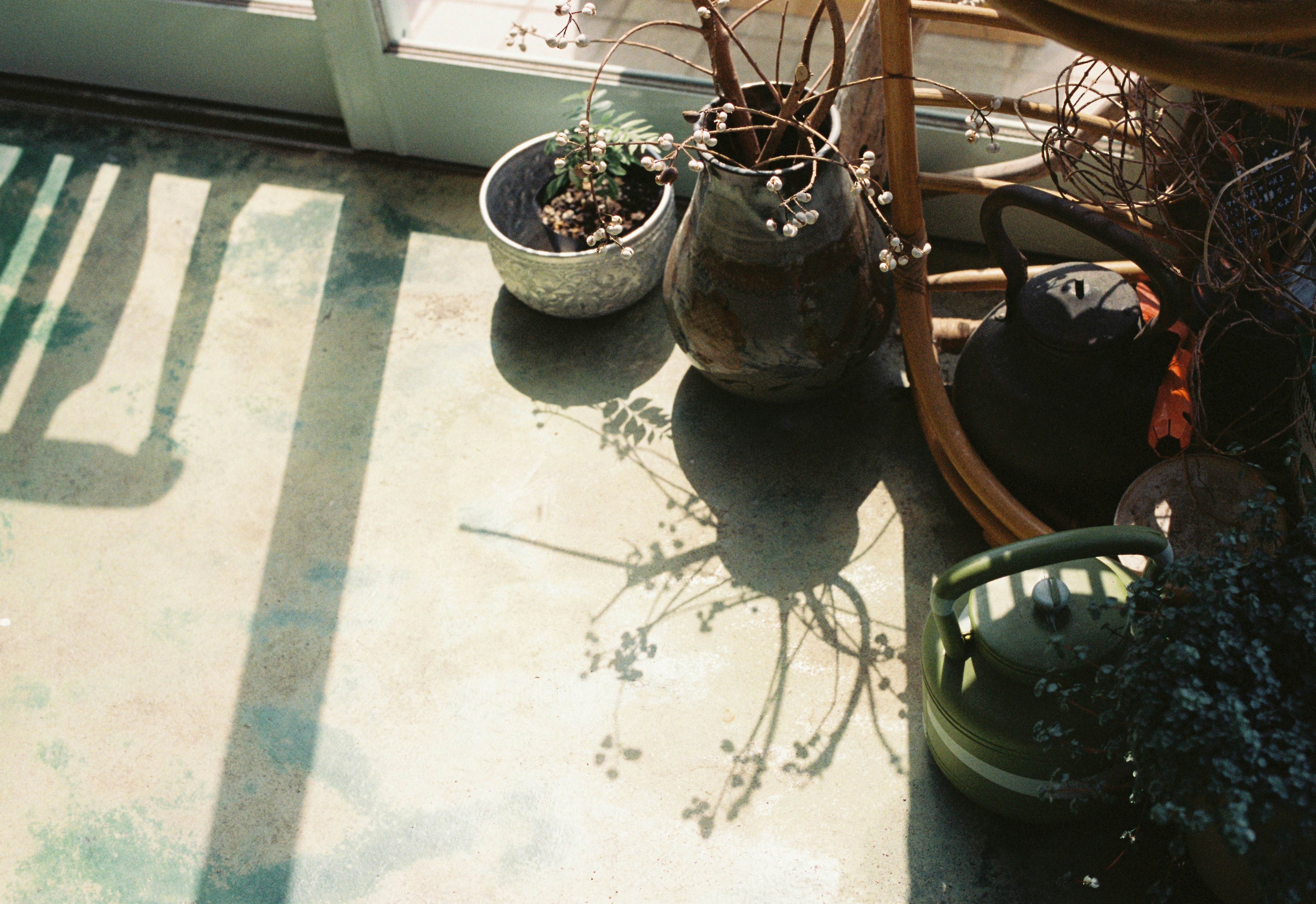 Sunlit balcony garden with potted plants and cast shadows