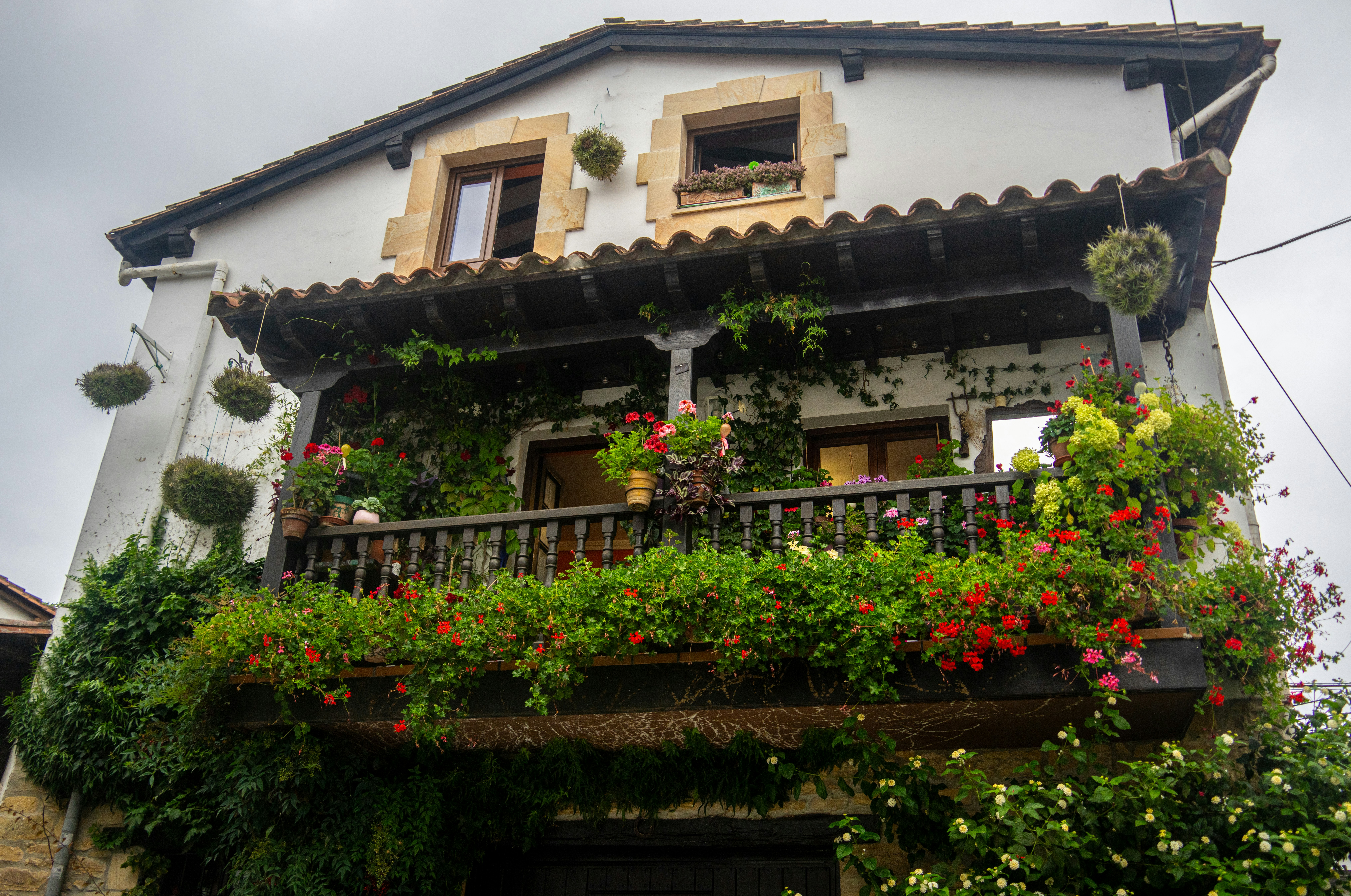 Veranda in Bloom: A Florilegic Housefront