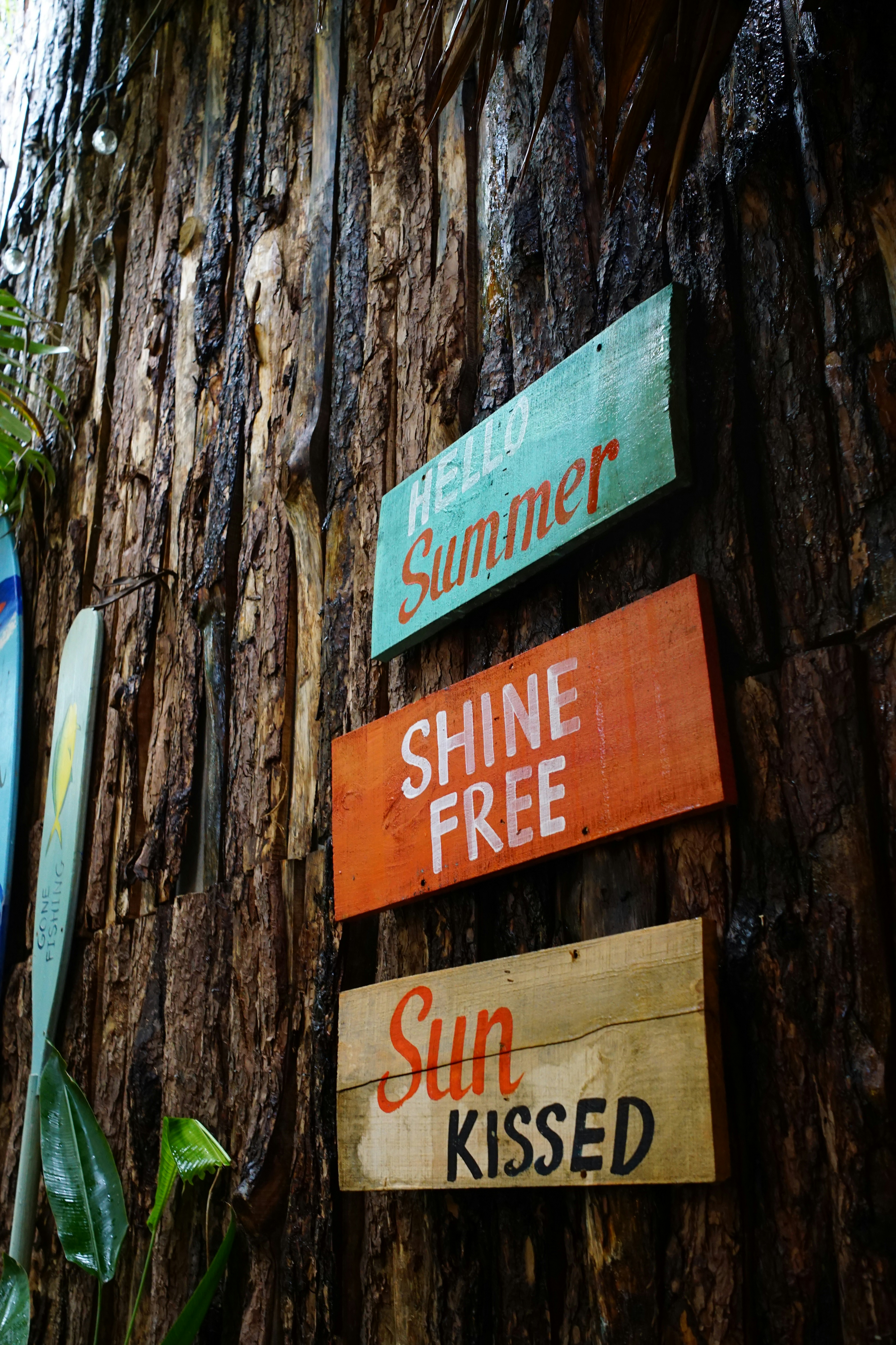 Sun-Kissed Wood Sign Trio on a Rustic Wall