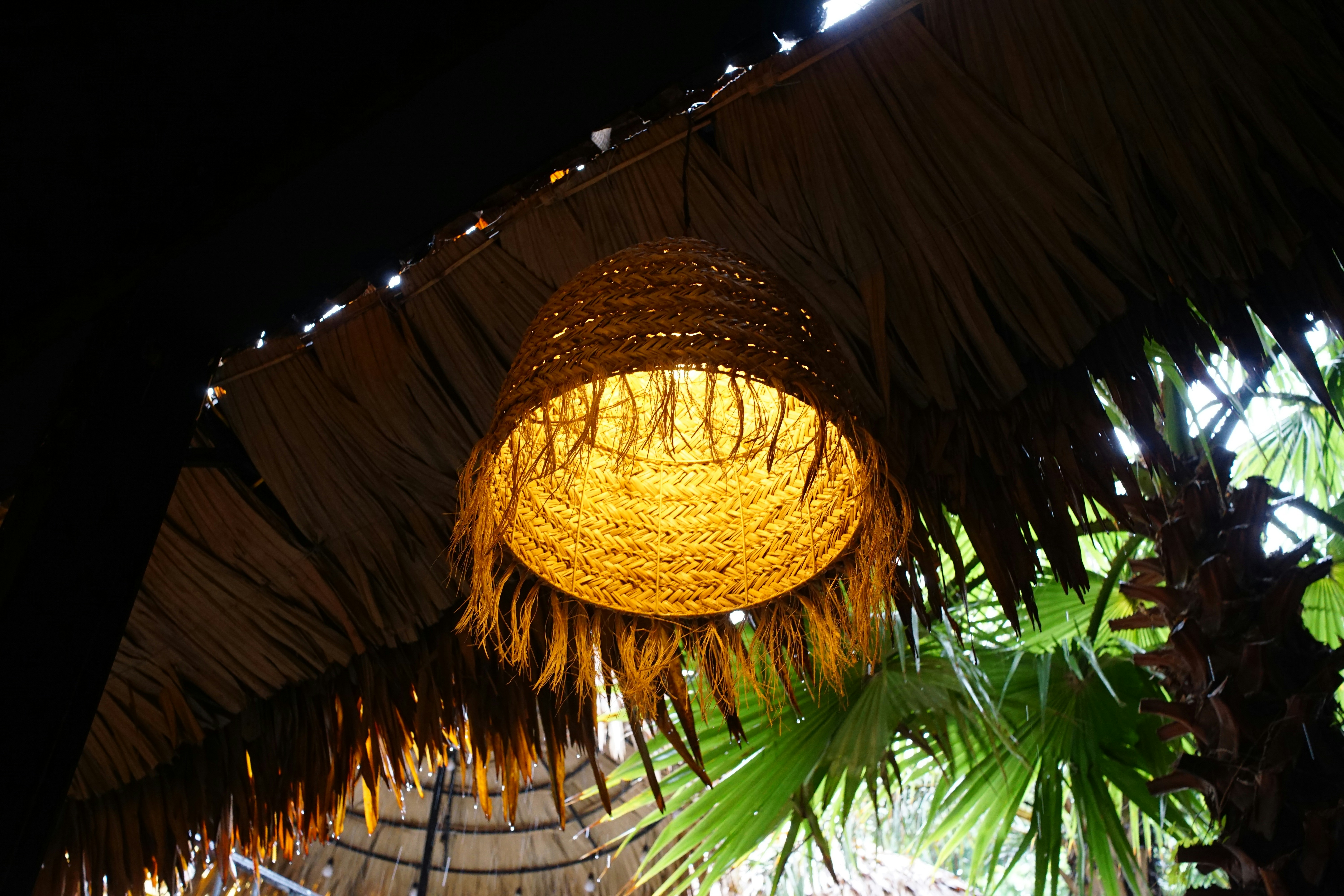 Golden Lantern in a Palm-Thatch Haven