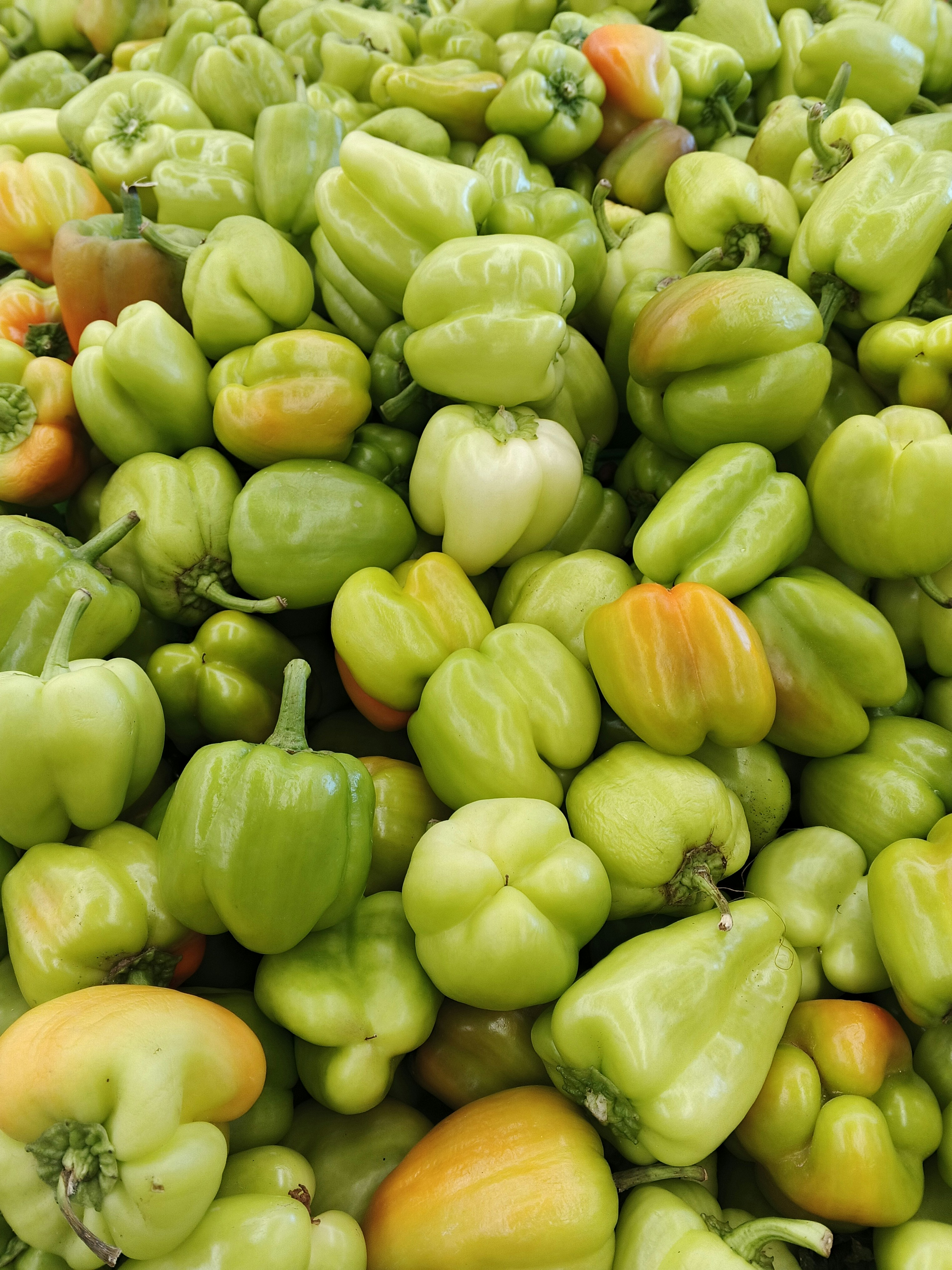 A dense pile of predominantly green bell peppers with a few hints of orange, filling the frame with glossy surfaces and subtle color variation.
