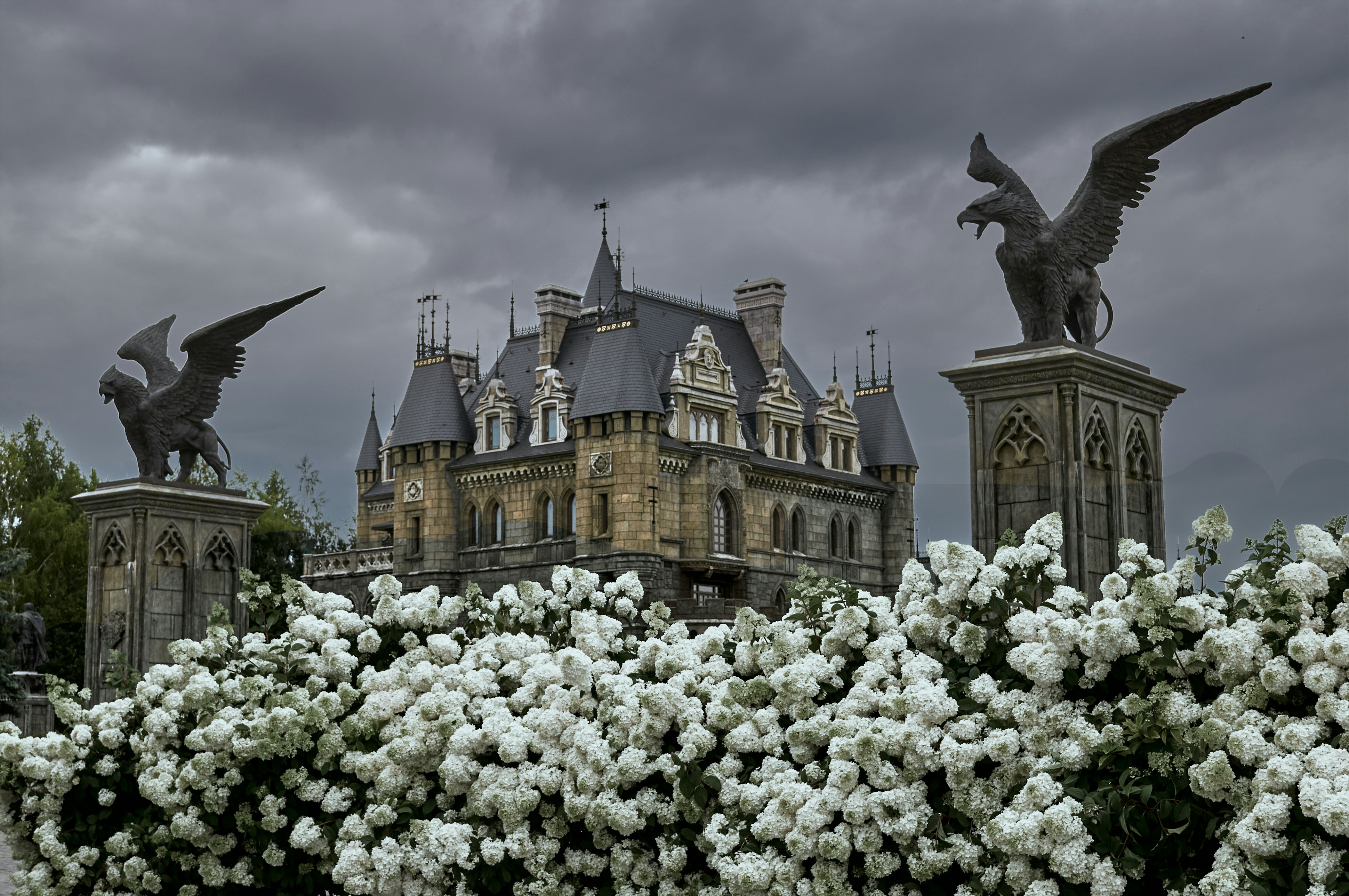 Castle in Bloom: A Dramatic Vista over White-Flowered Forecourt