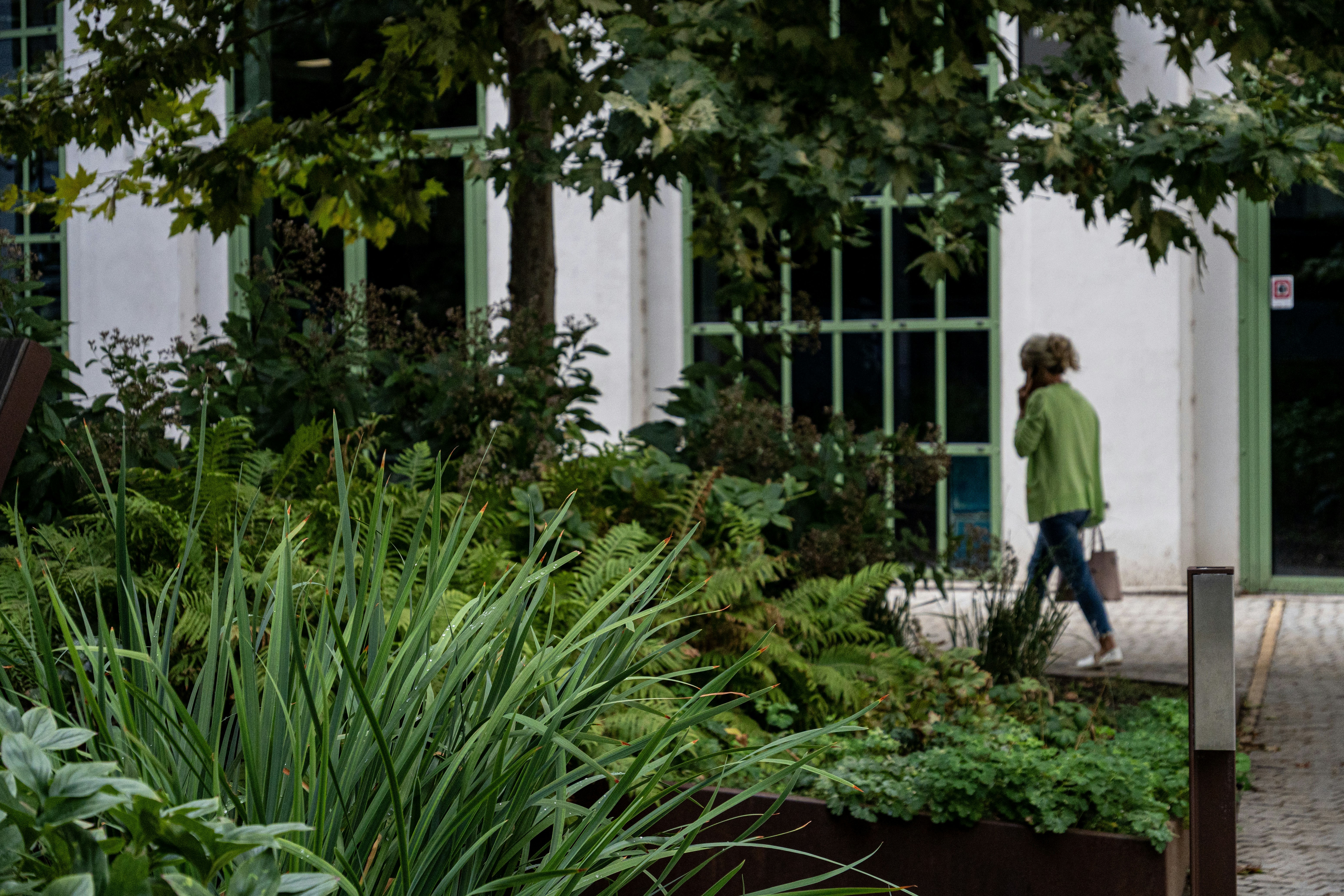 Green-clad wanderer crossing a quiet courtyard