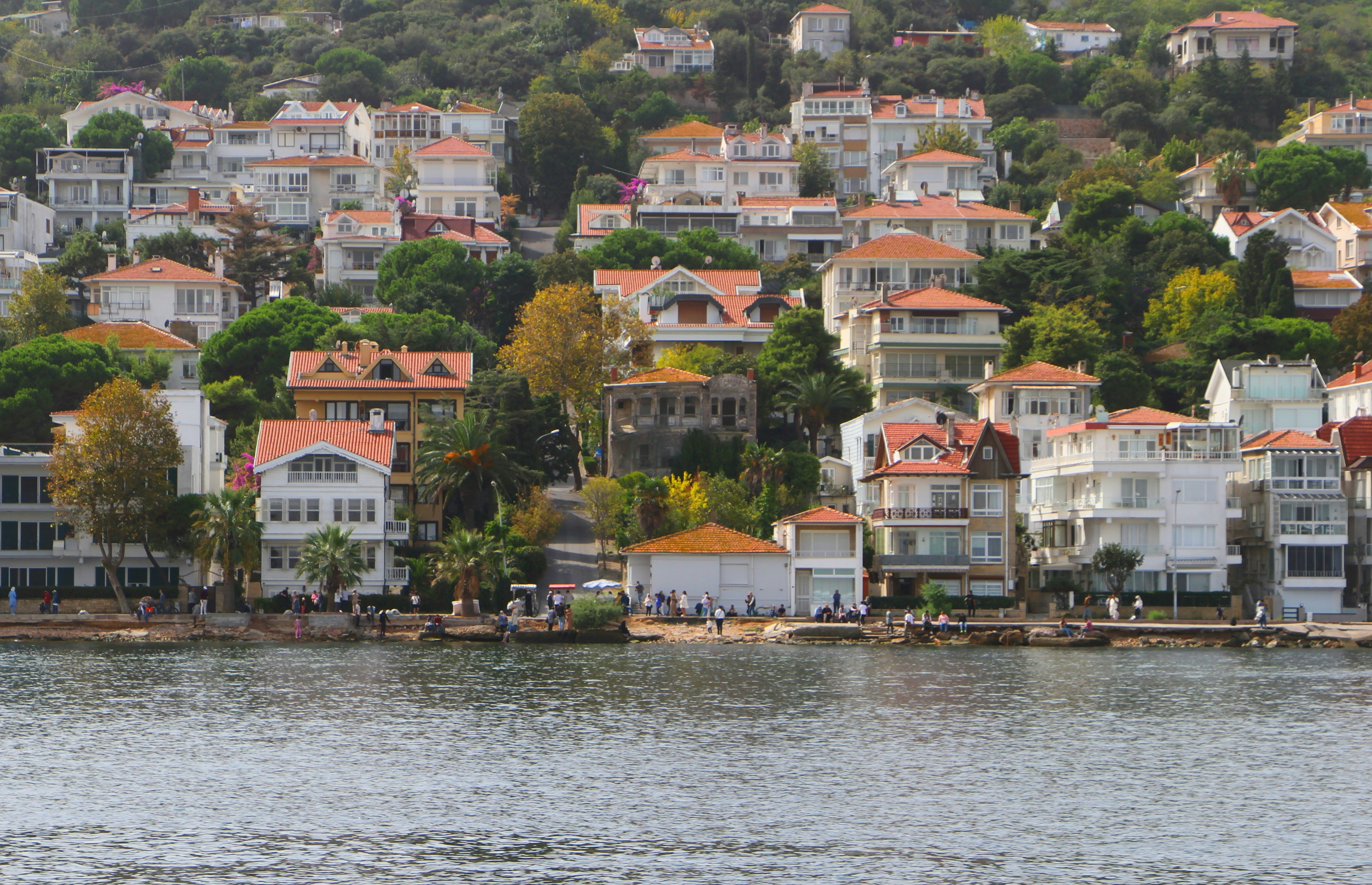 Lakeside Terrace: Sunlit Houses Framing the Waterfront