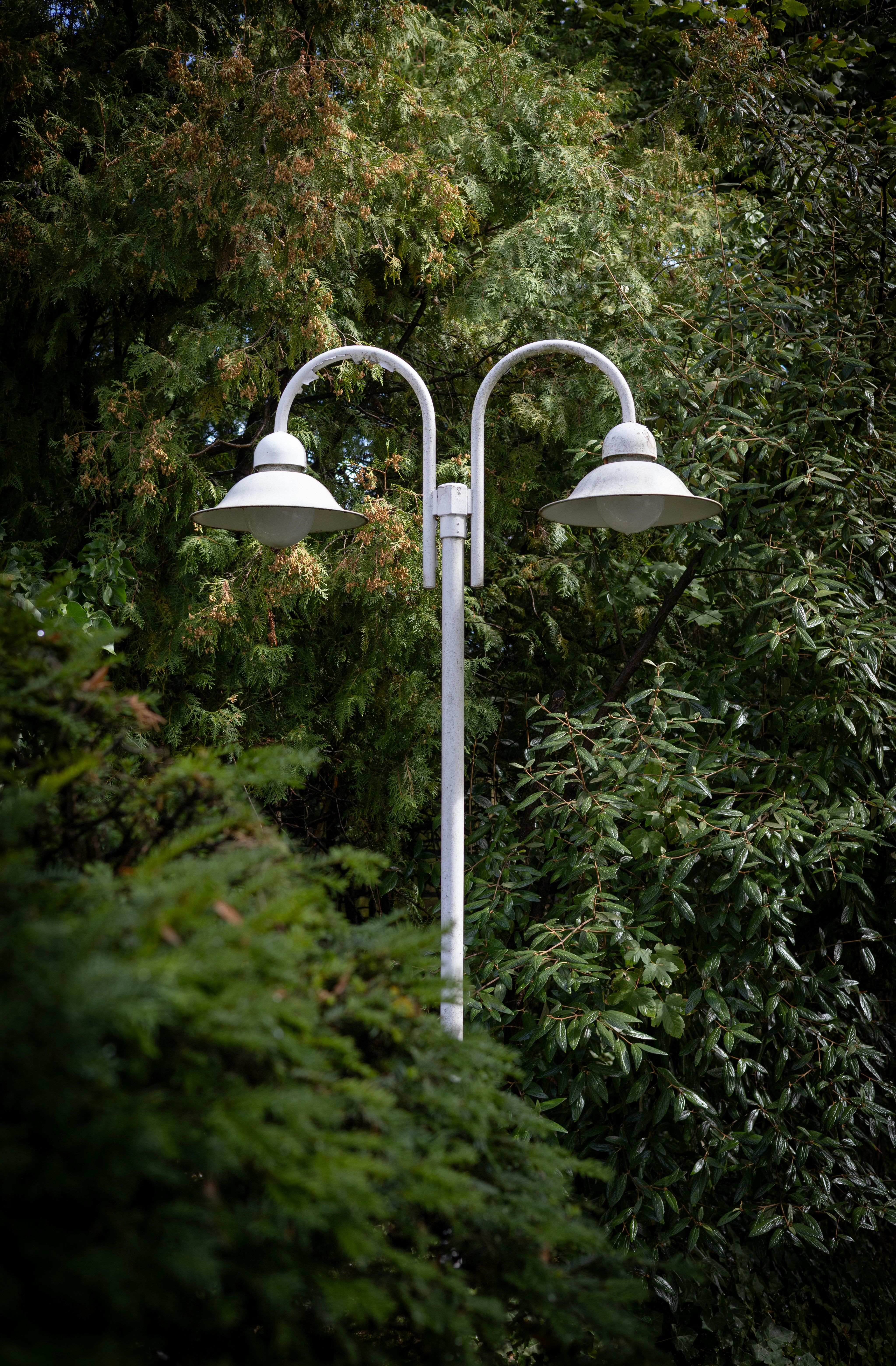 Twin Lanterns Standing Sentinel Amid Greenery