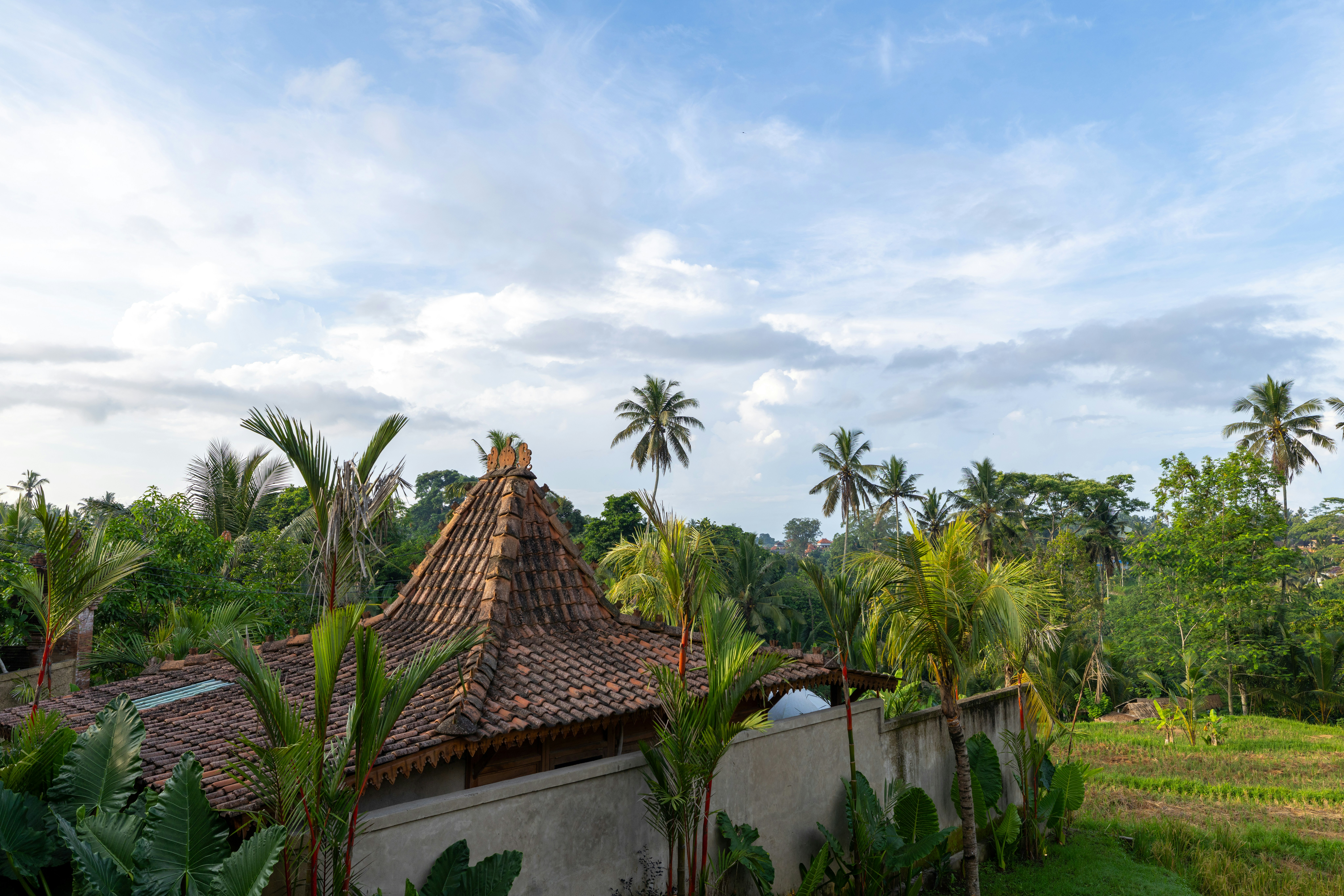 Villager rooftops peek over lush tropical greenery with palm trees under a bright sky. A calm rural scene highlighting traditional houses and dense foliage.