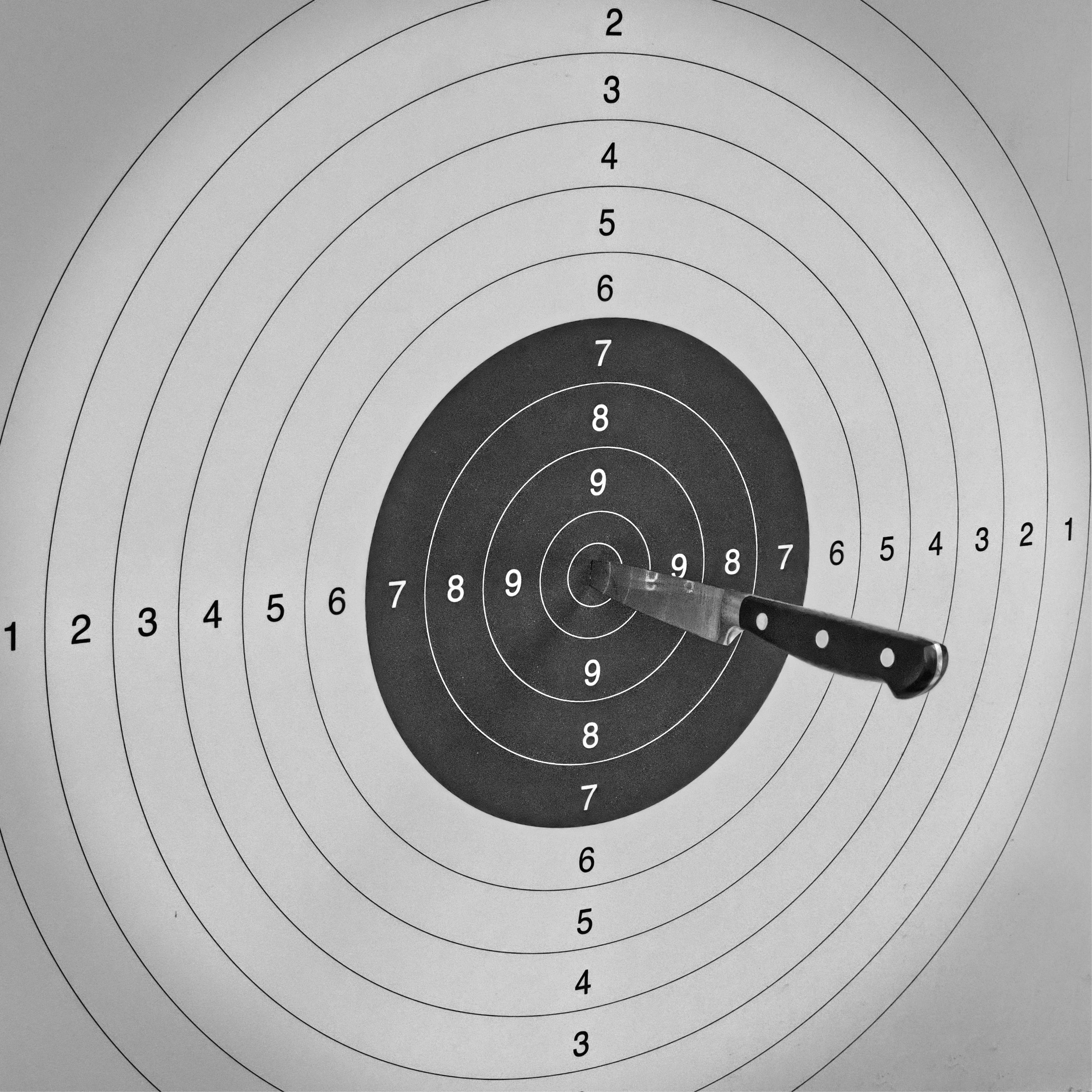 Precision on Target: A Knife-Focused Silhouette Against a Target Board