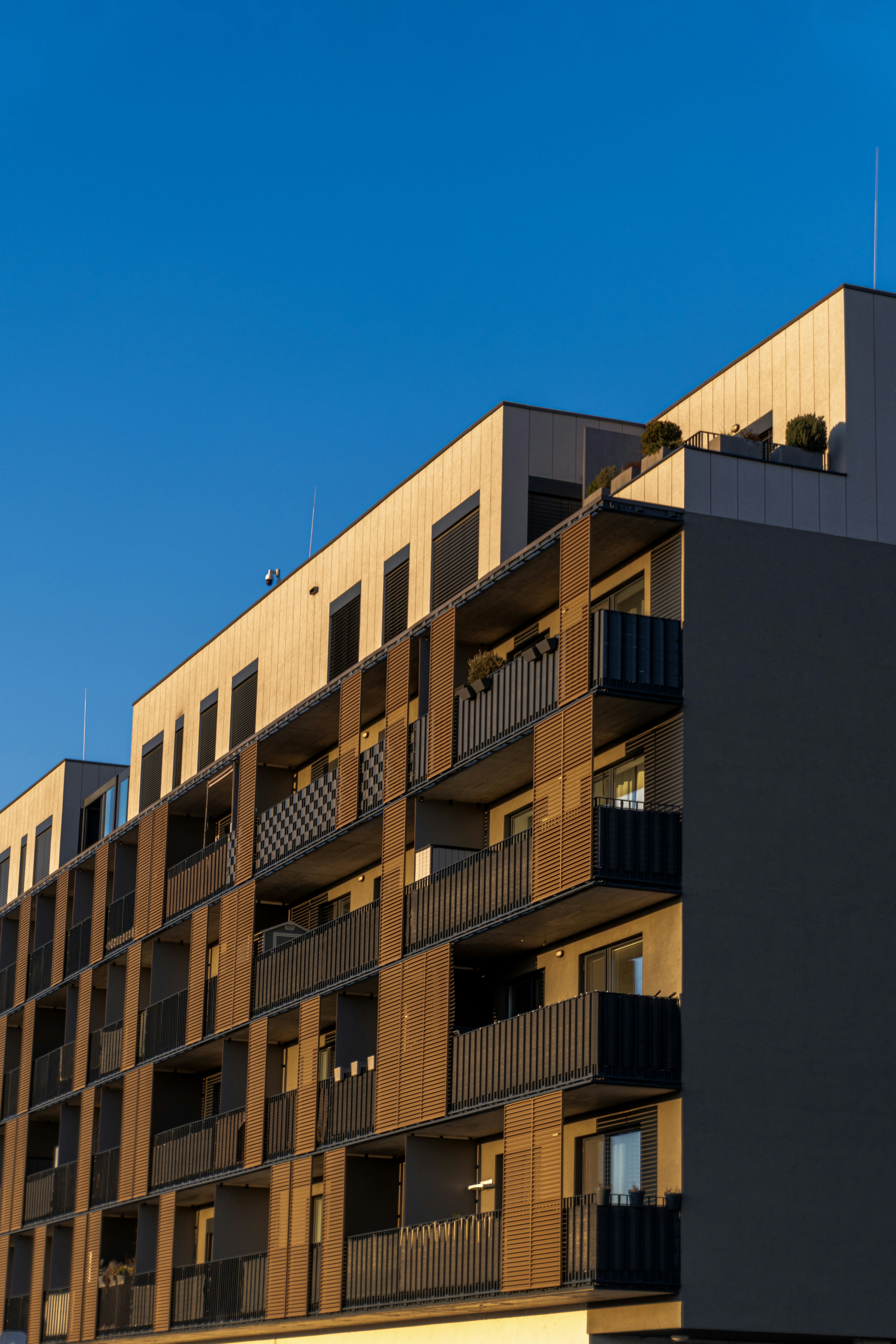 Sunlit Balconies: A Row of Modern Flats in Golden Hour Light