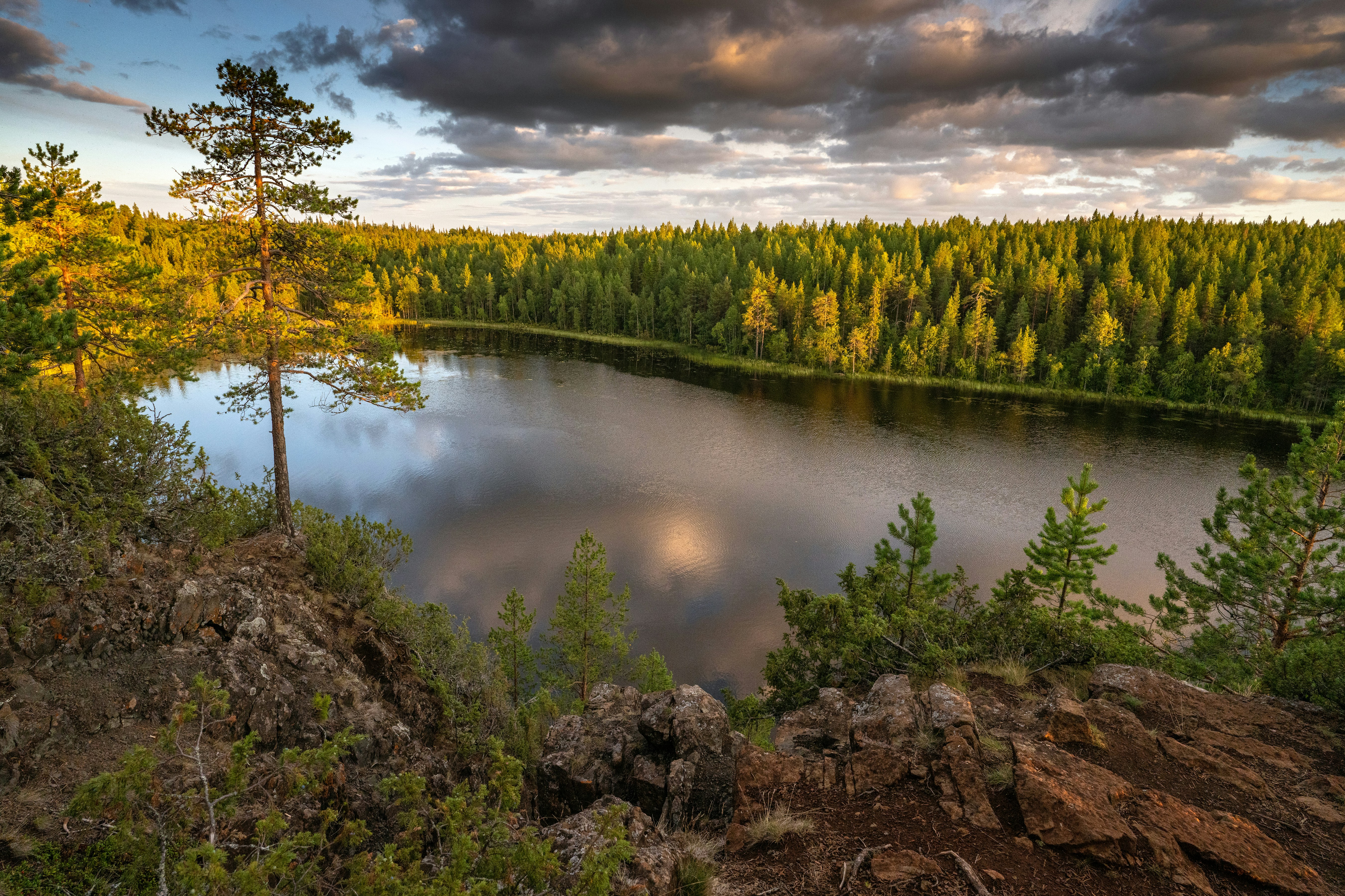 Sunlit Rim Overlooking a Quiet Lake in a Pine-Cocked Gorge