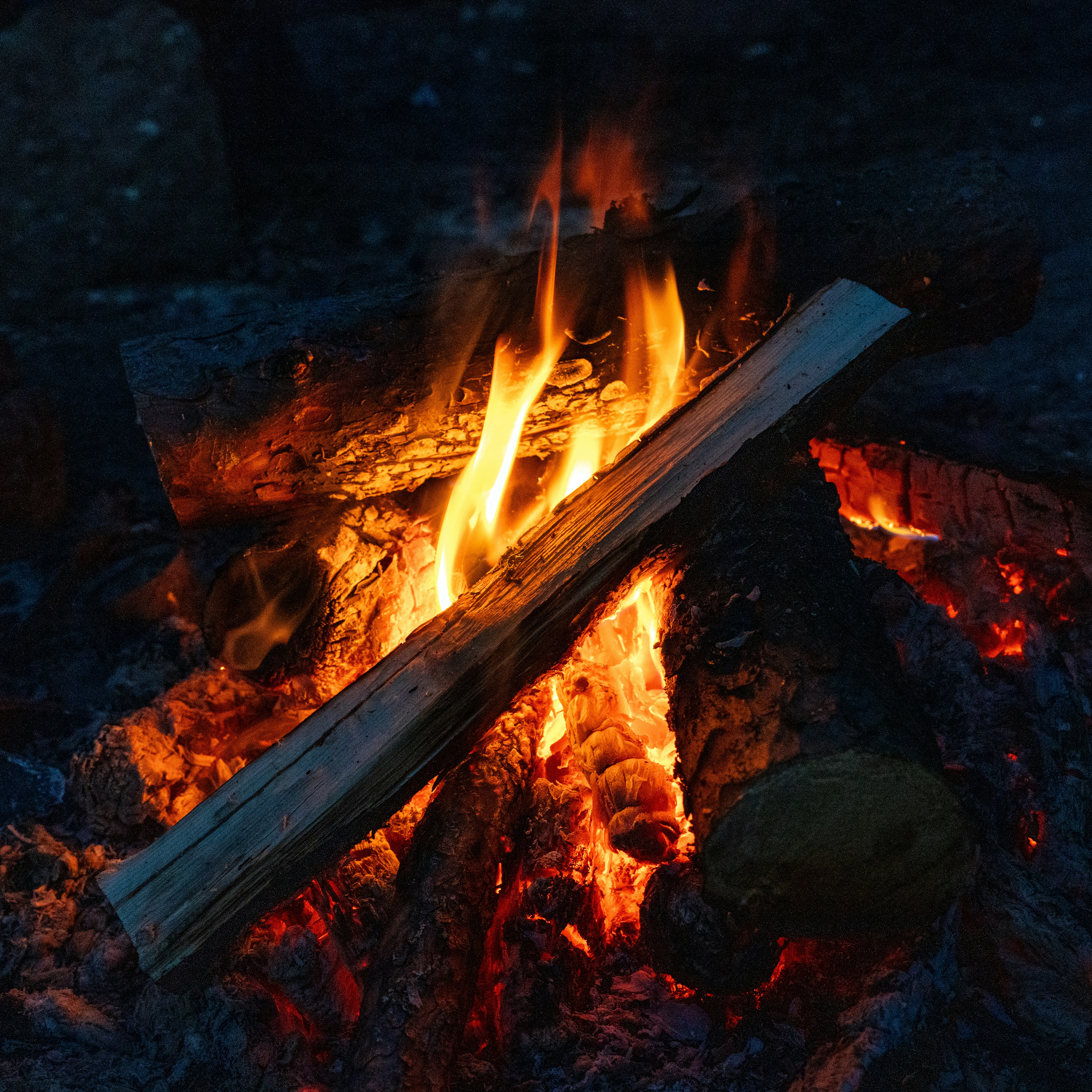 Embers and Logs: A Quiet Campfire Under Nightfall