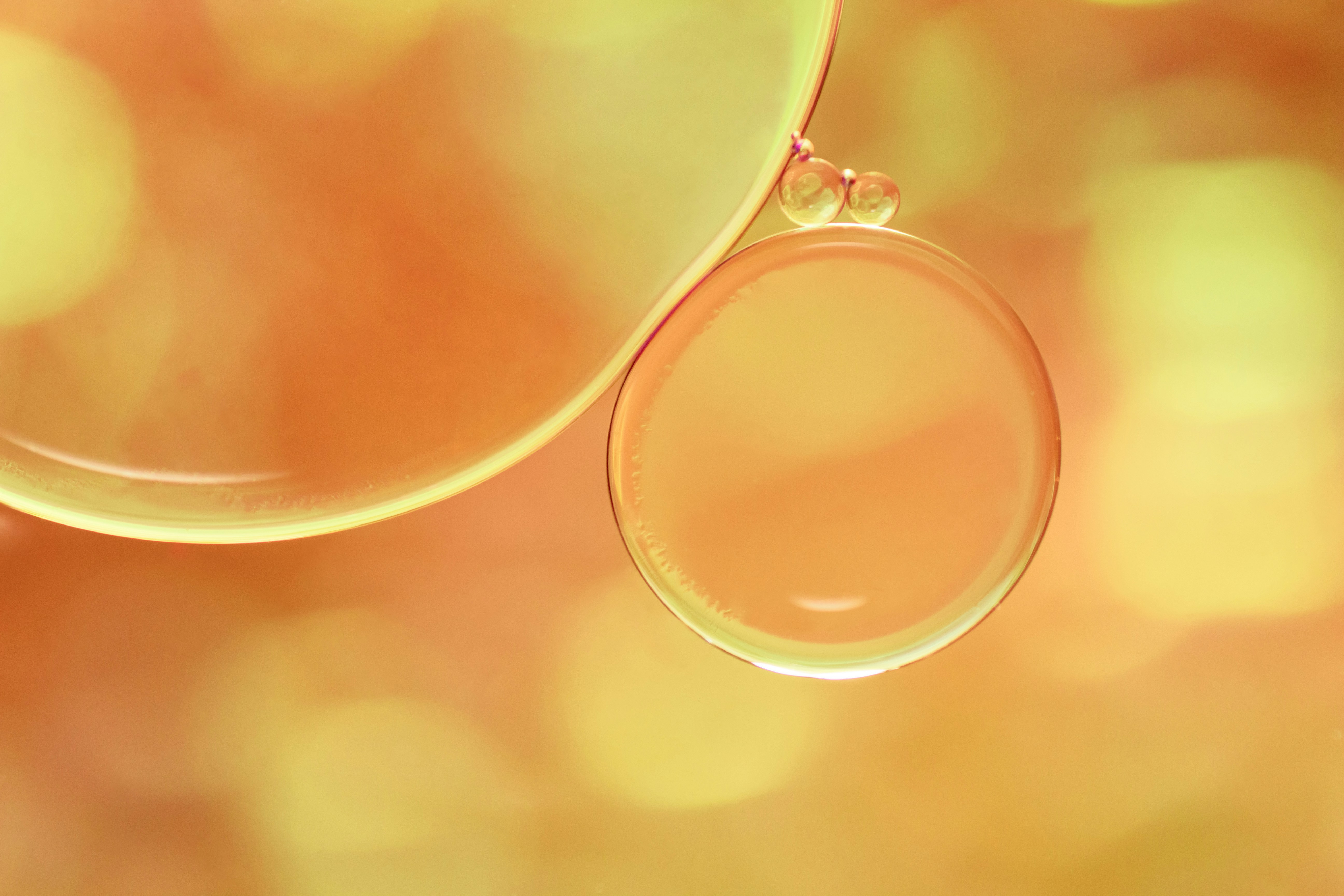 Close-up of translucent orange bubbles with soft bokeh in warm autumn hues, emphasizing the circular glow and delicate reflections.