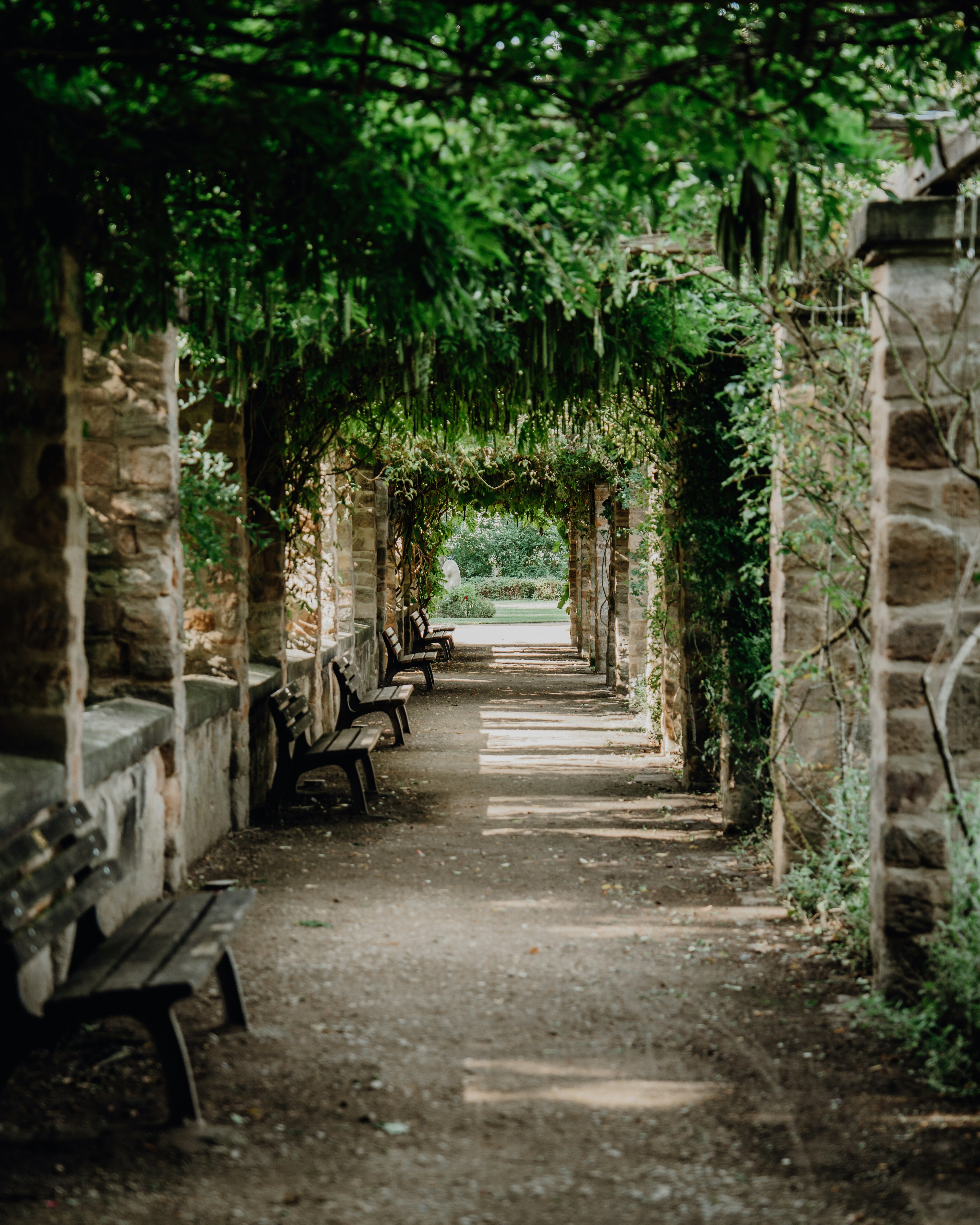 Colonnade Through Verdant Archways