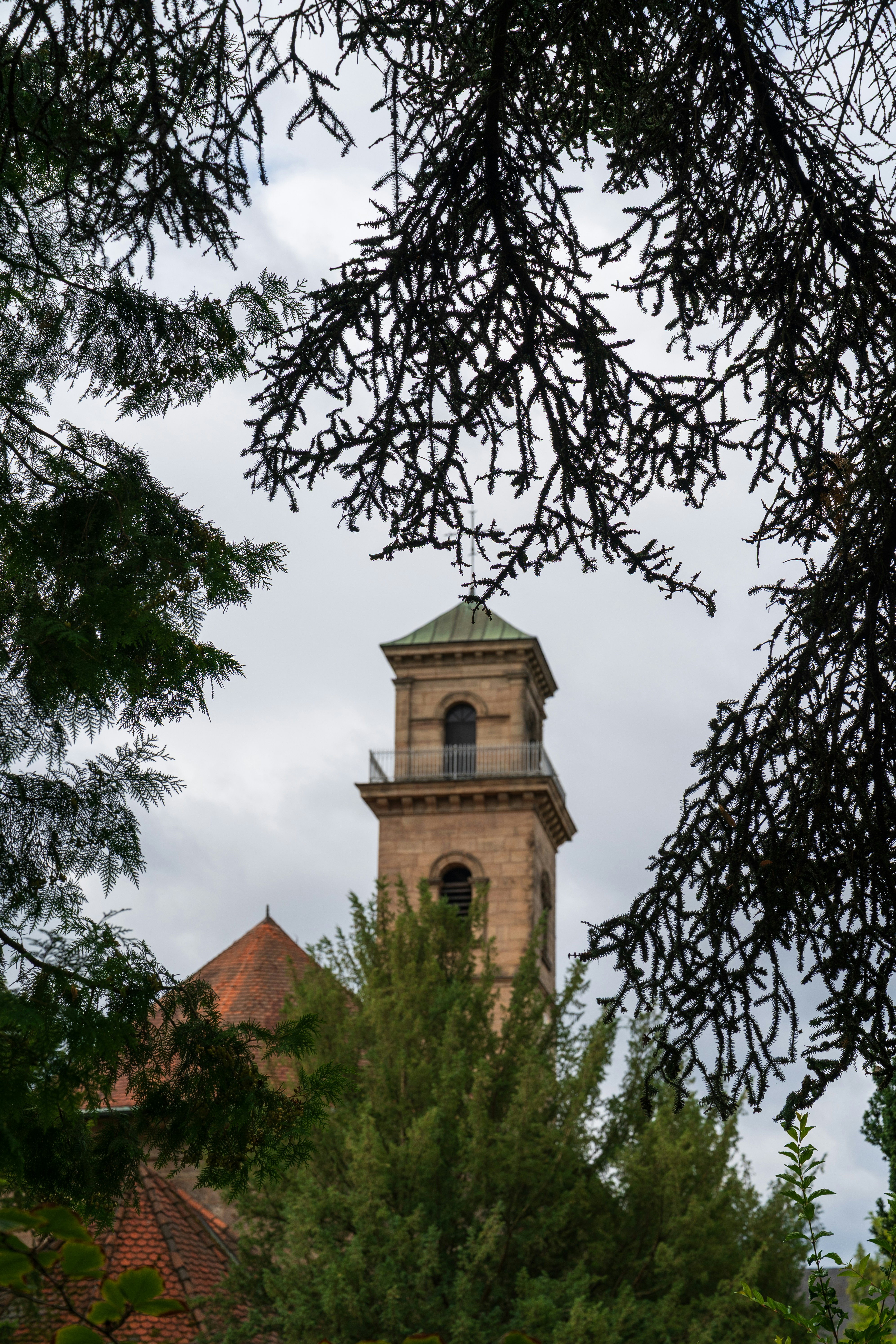 Clocktower in a Canopy of Branches