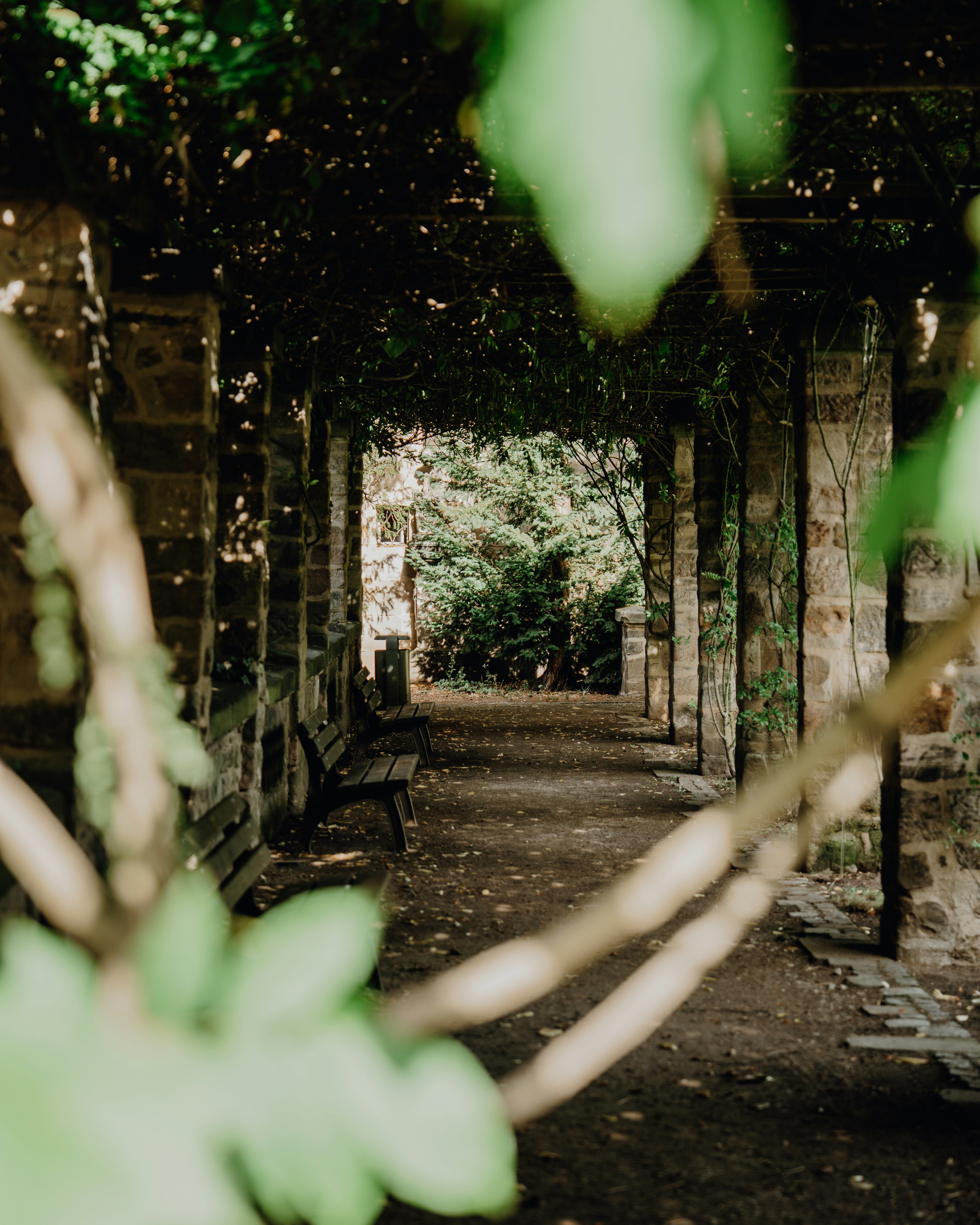 Echoes of the Arcaded Corridor