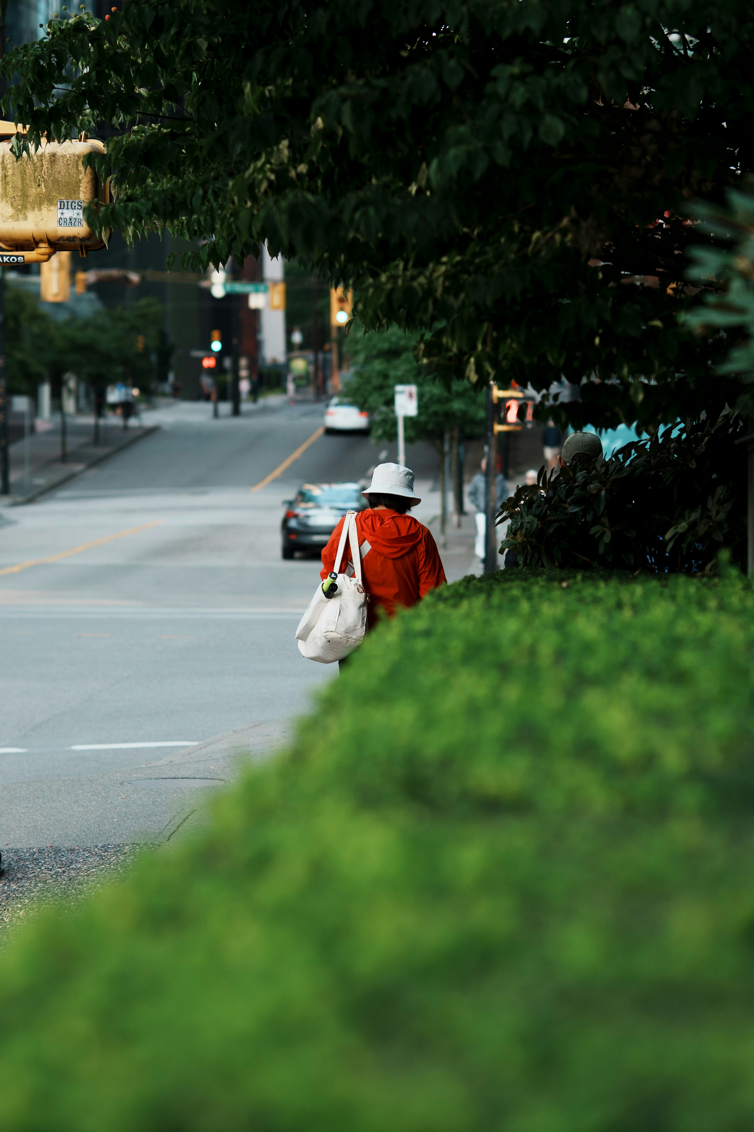 Red-Jacket Stroll: A Quiet Street Corner Framed by Greenery
