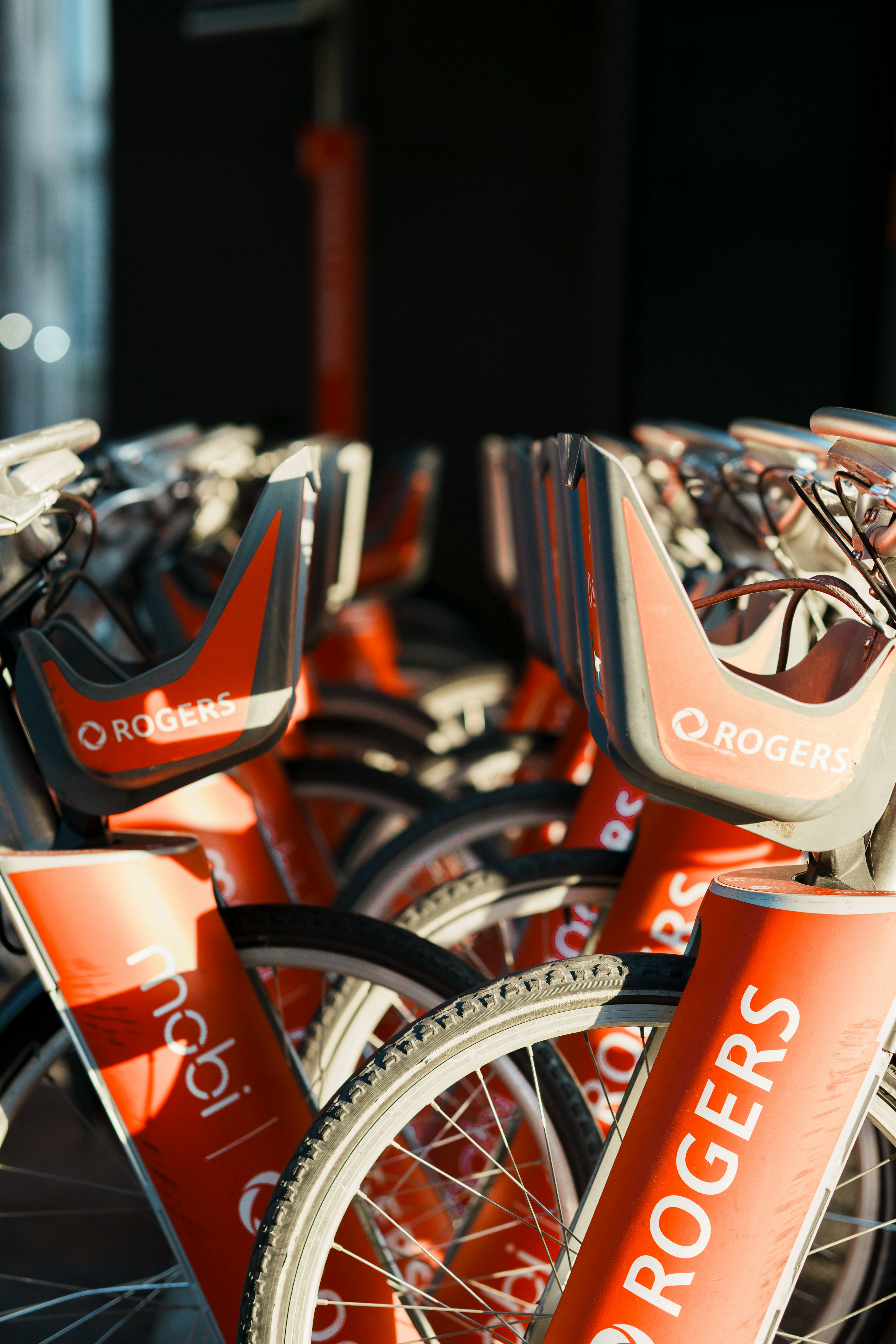 Front Row of Red Rogers Bikes