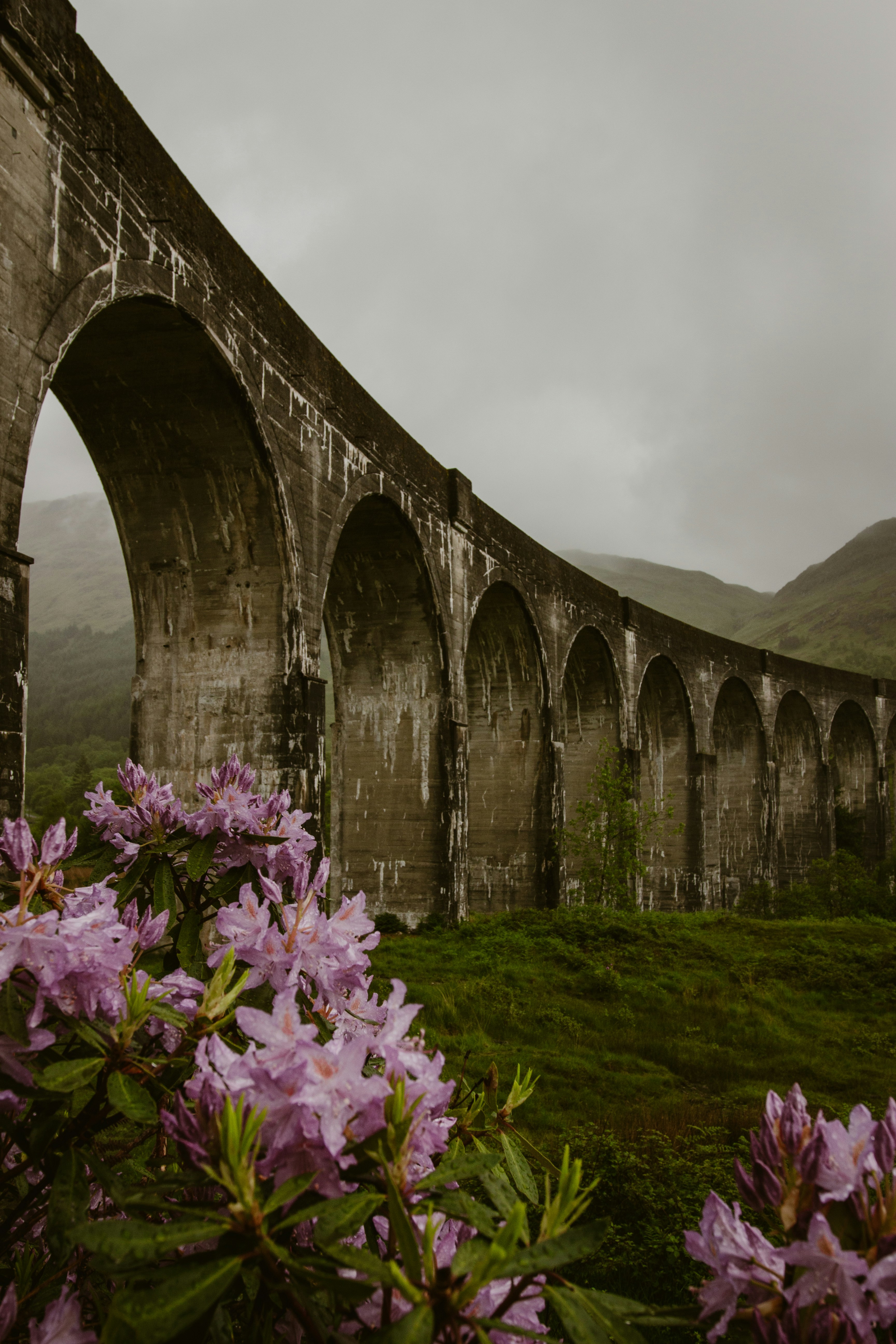 Ancient Viaduct in Bloom: A Highland Arched Corridor