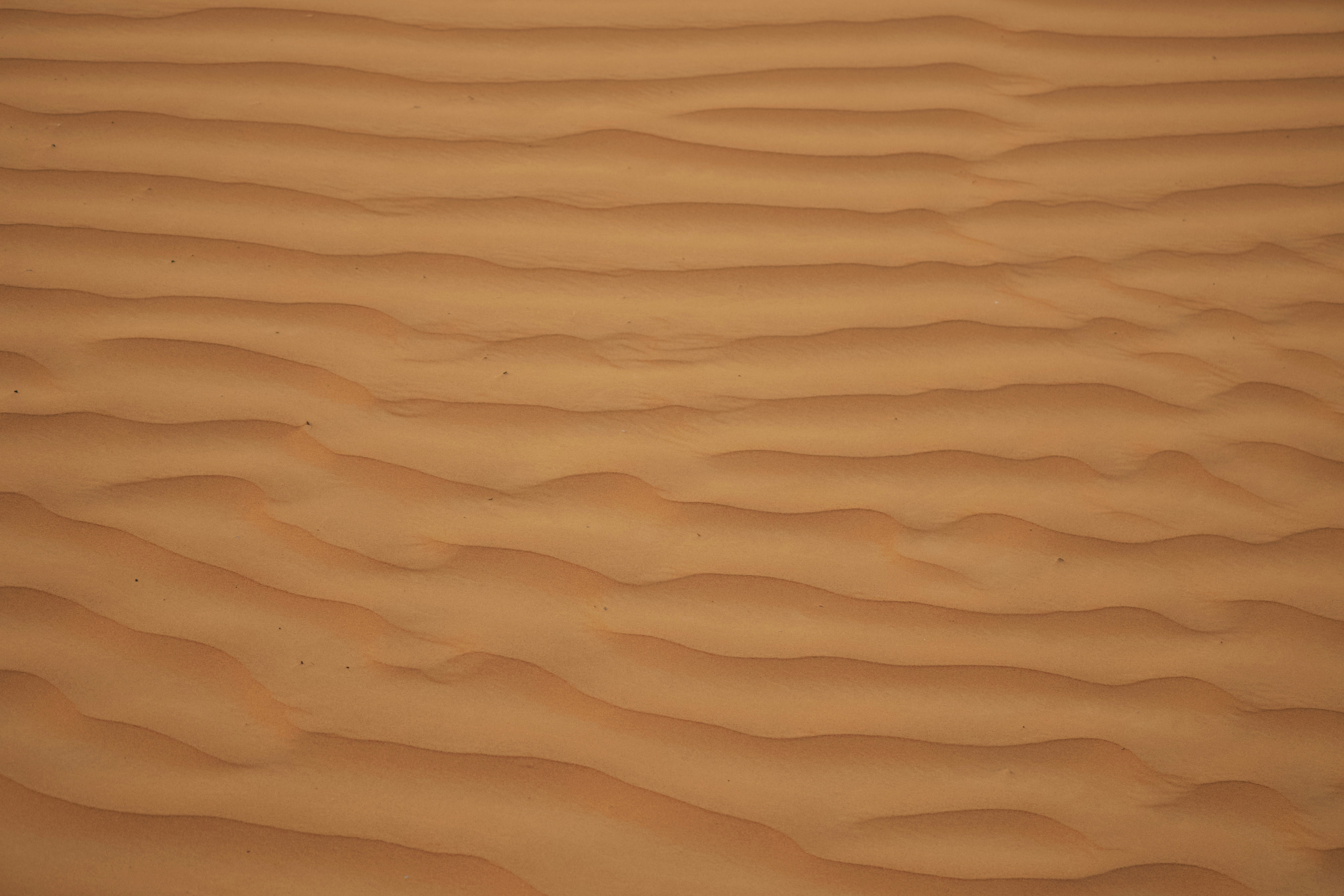 Undulating Sands: A Quiet Waveform Across Dune Ridges