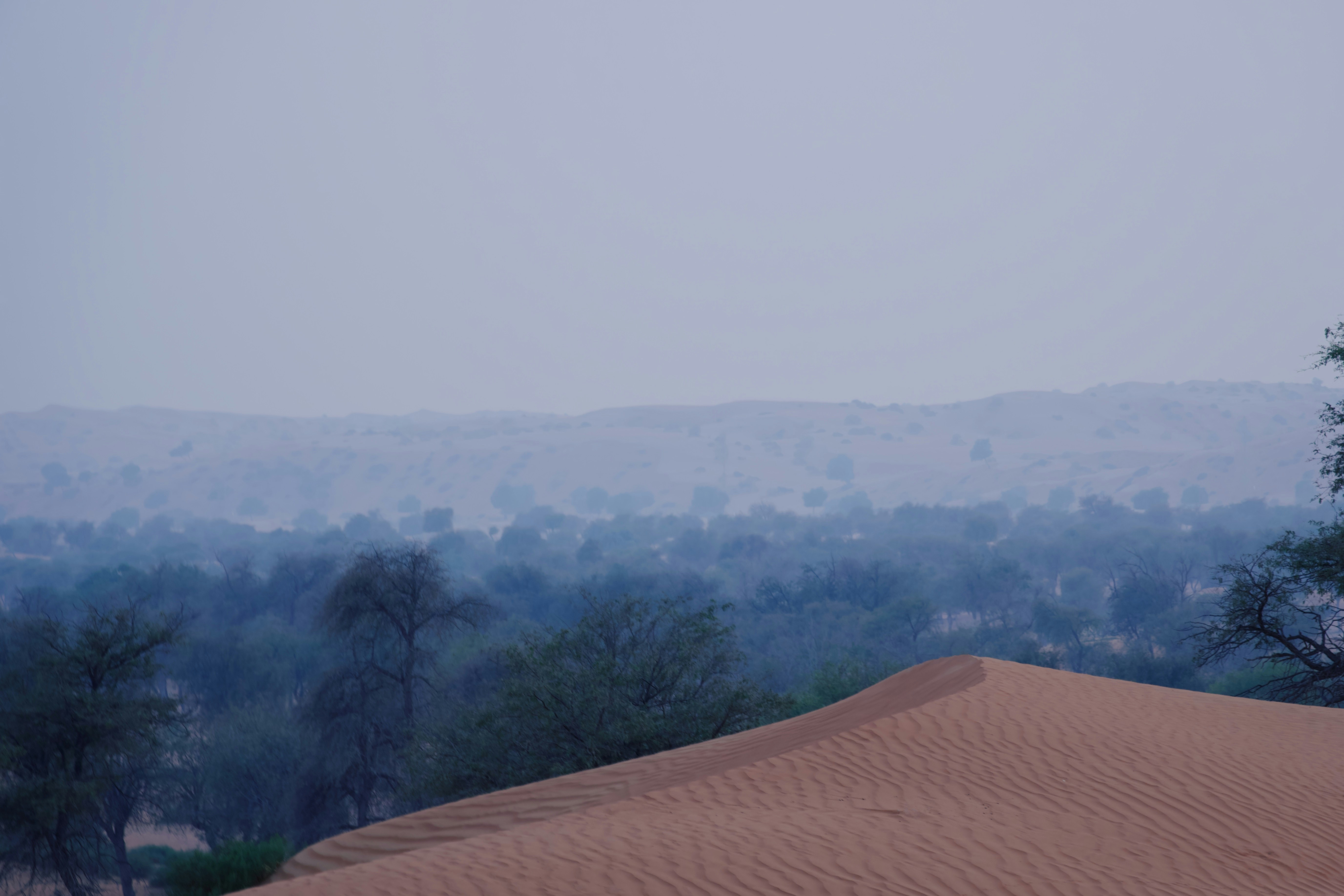 Dune Ridge Beneath a Tinted Horizon