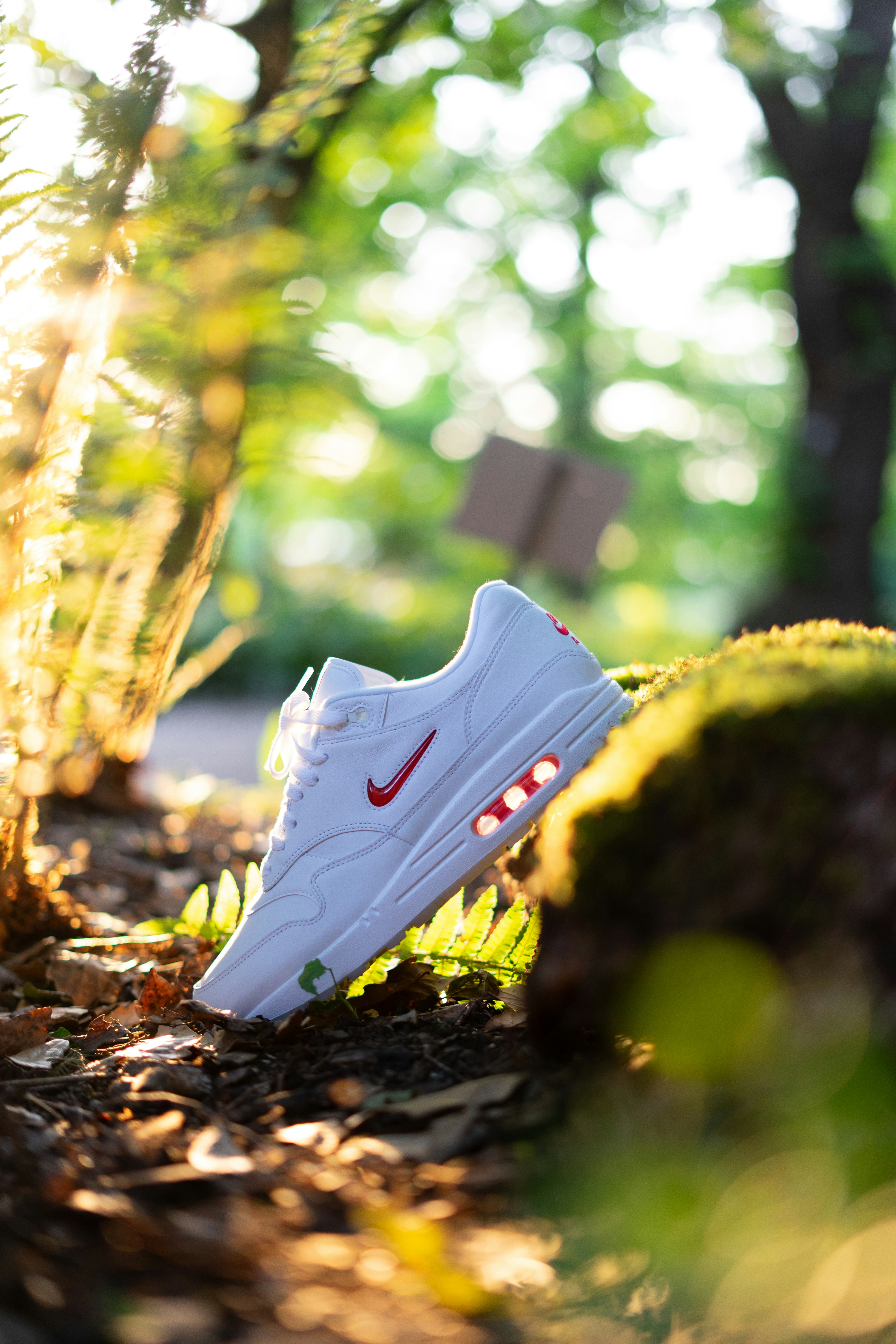 Stunning backlit macro product shot of the Nike Air Max 1 Jewel placed on mossy ground, with warm sunlight glowing directly through the heel Air unit.