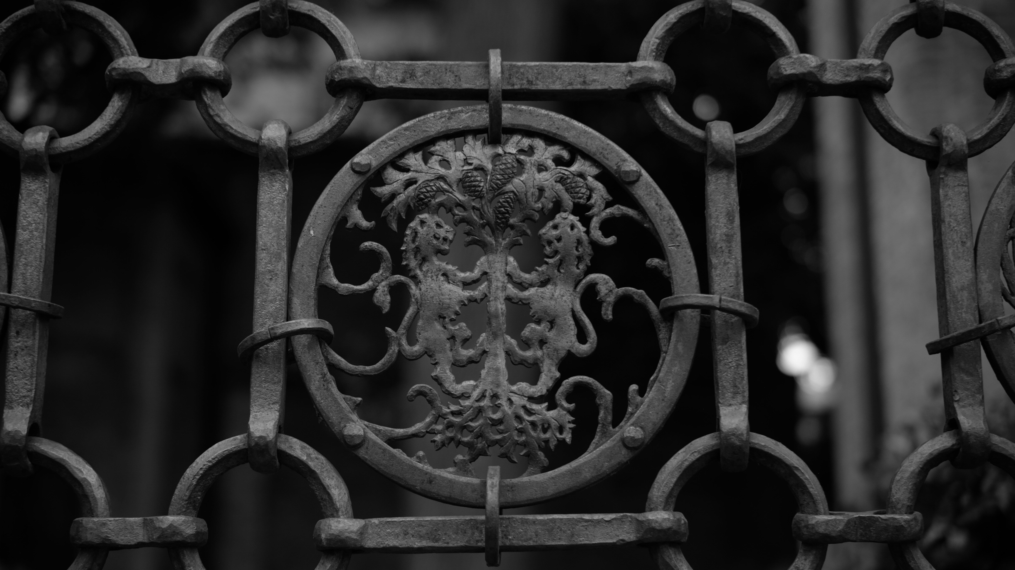 Ornate Ironwork: Central Crest Framed by Repeating Rings