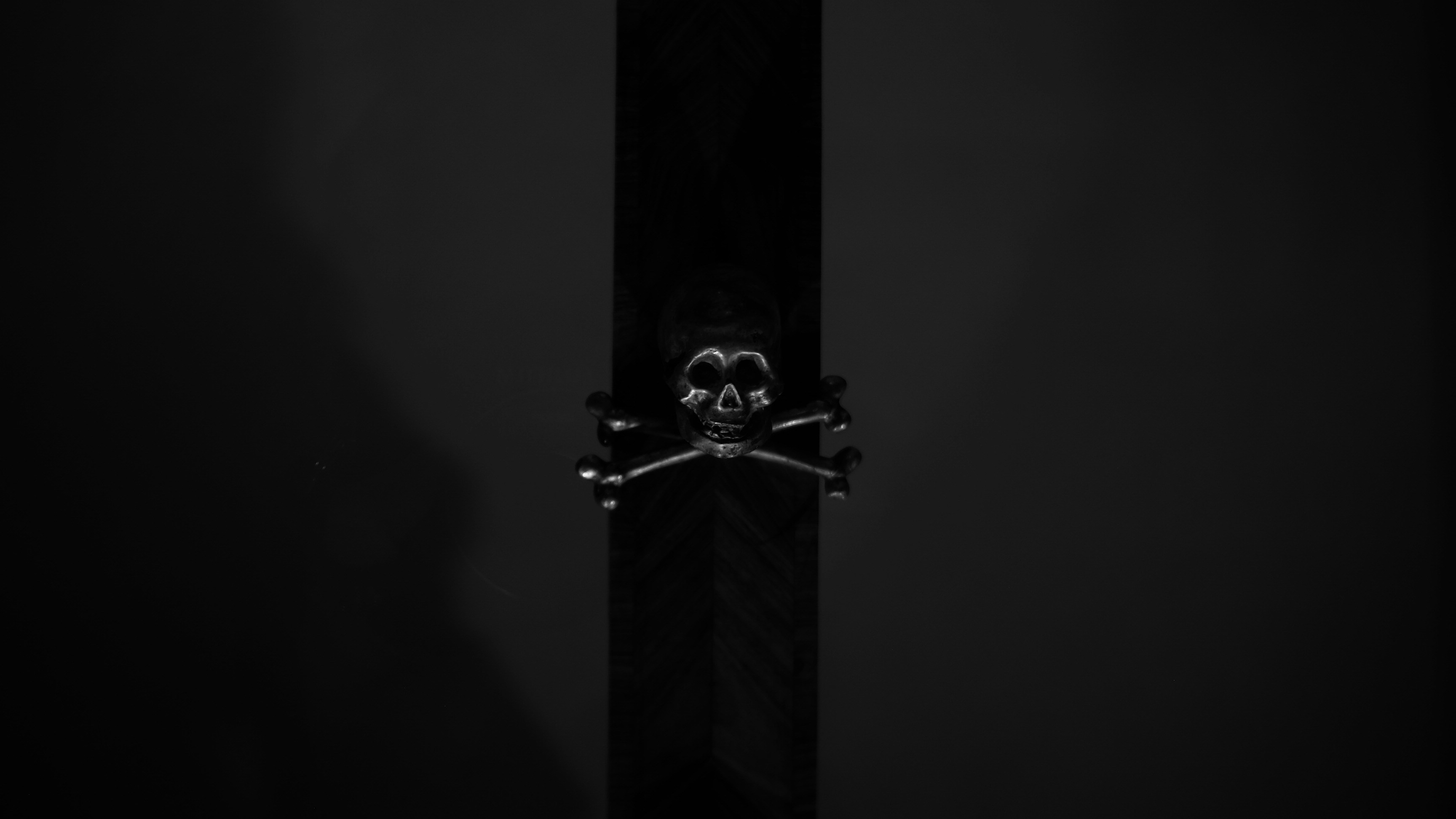 Midnight Crest: A Skull Adorned Plunge into Darkness