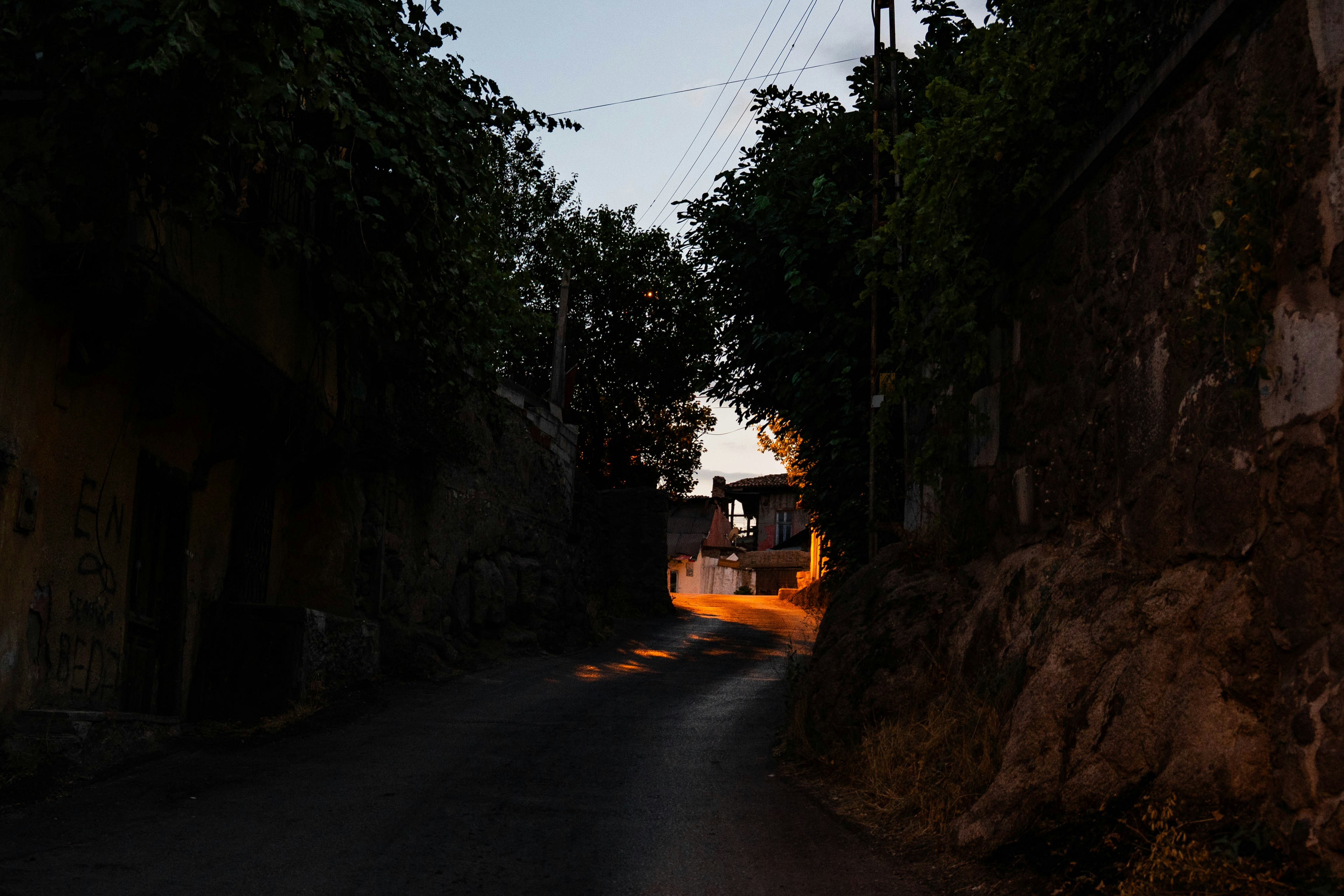 Dusk Route: Narrow Lane Toward a Warm Horizon