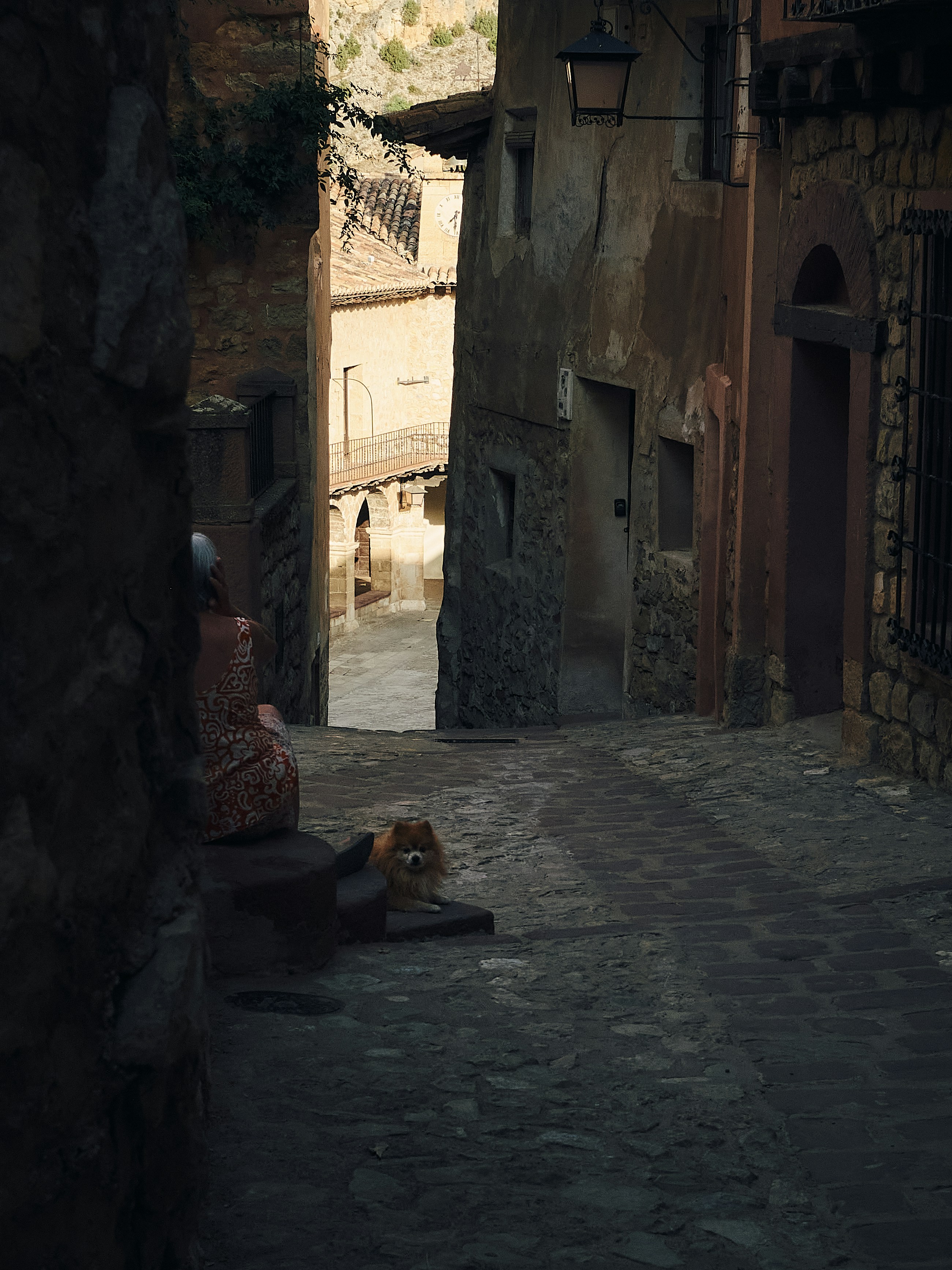 Cobbled Alleyway Quietly Framing a Pug at the Threshold