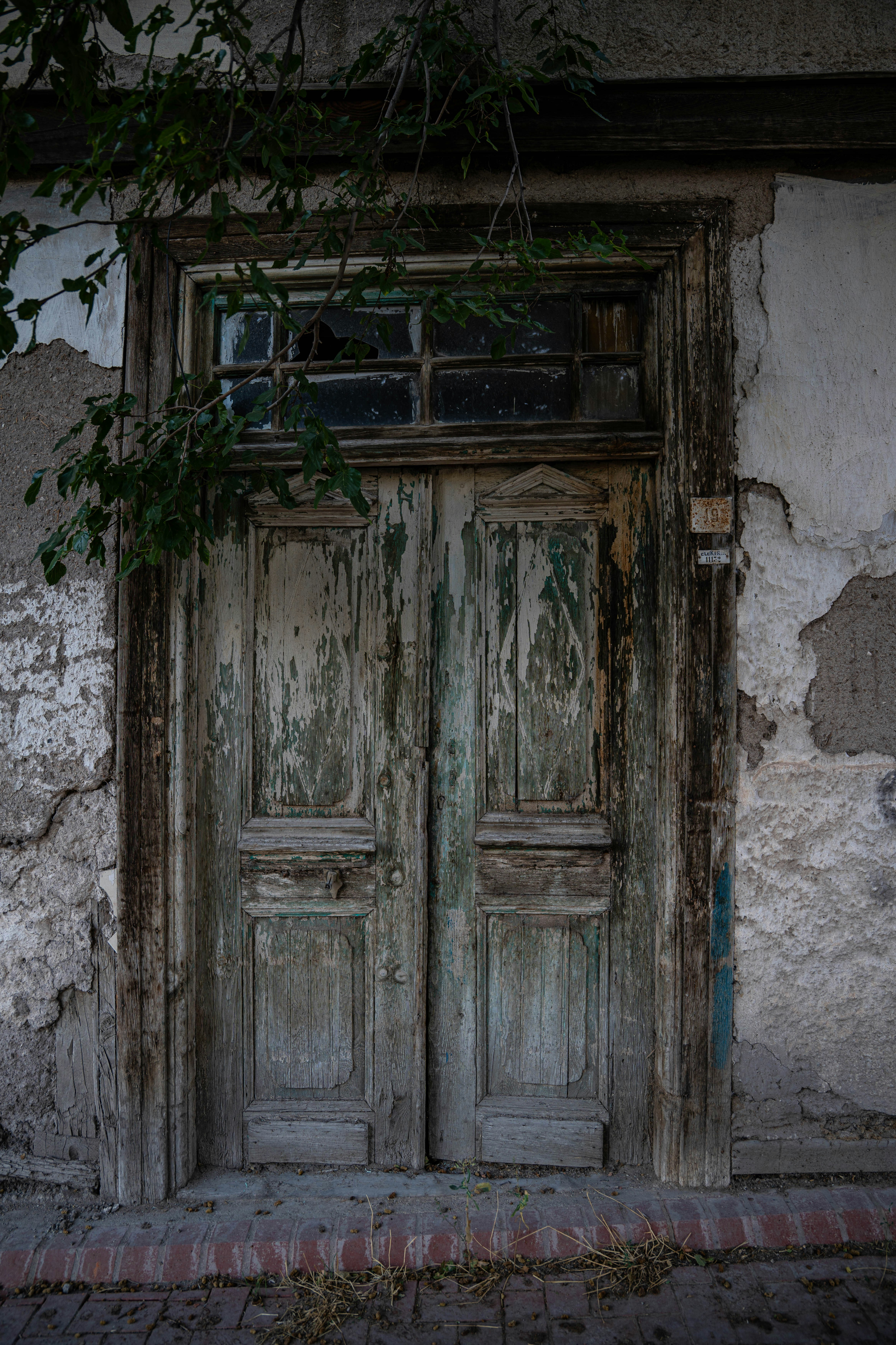 Weathered doorway swallowed by ivy and crumbling walls