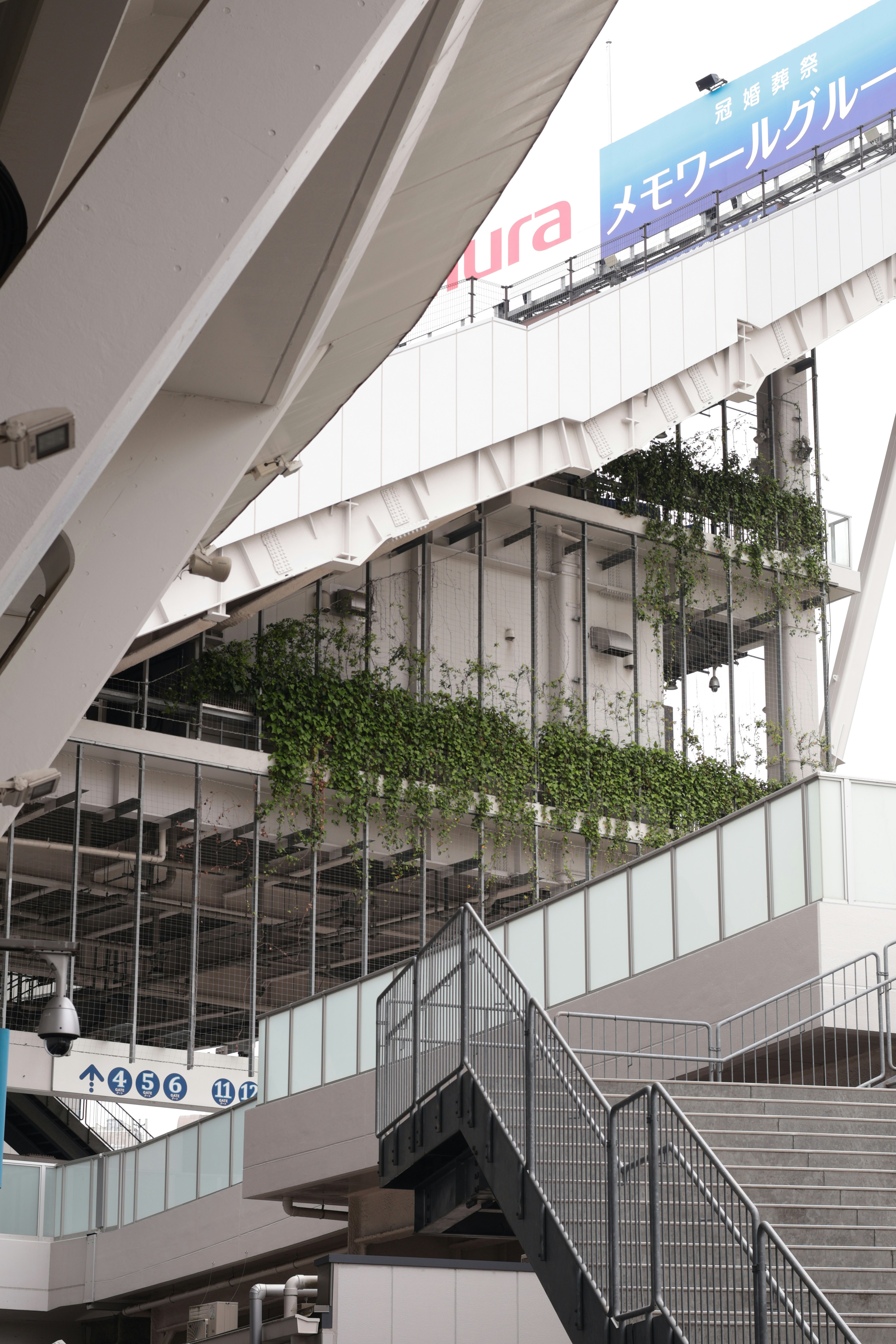 Urban Architecture with Green Ceiling Grasp