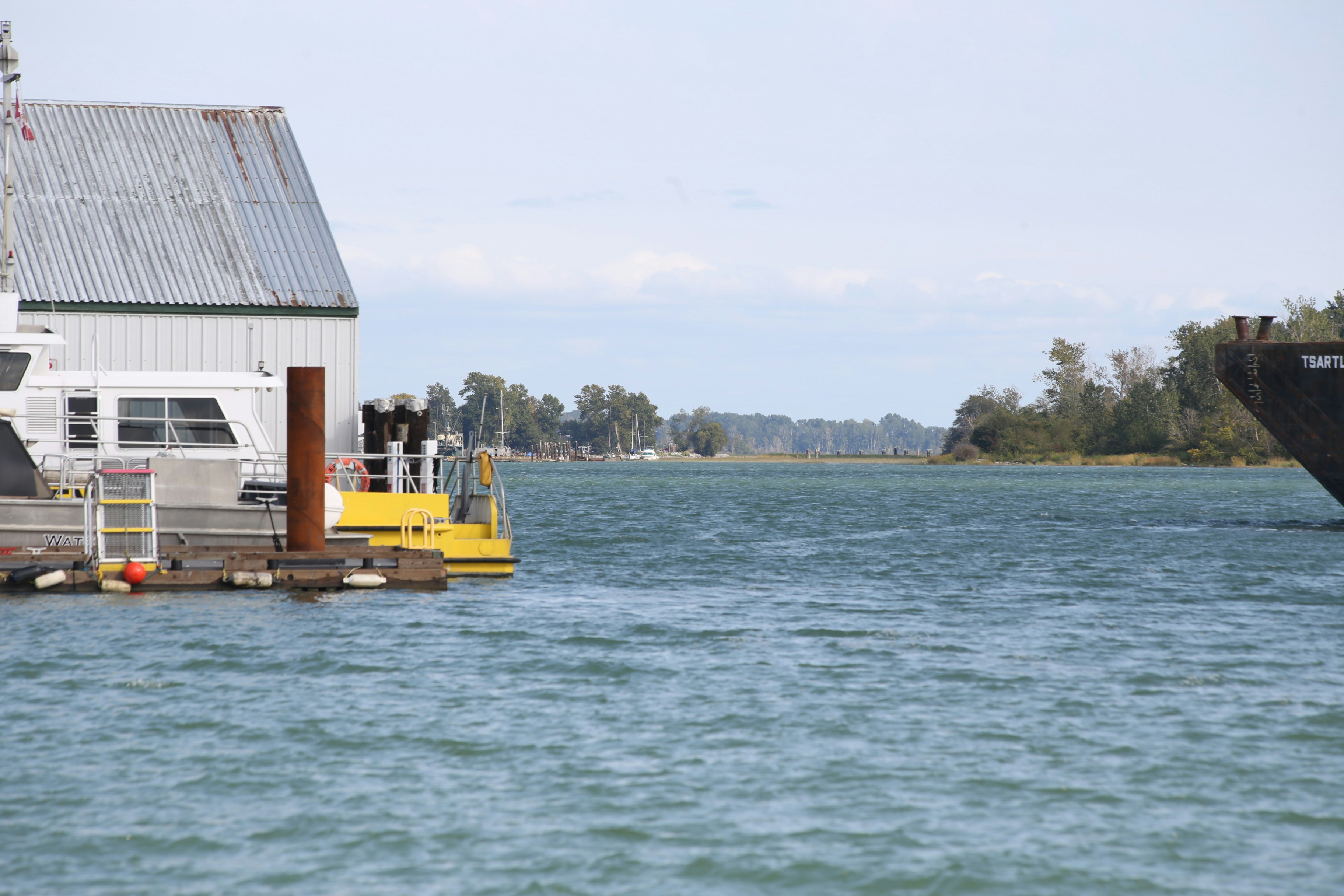 Dockside Quiet: A Slip of Silver Water and Rusted Rails